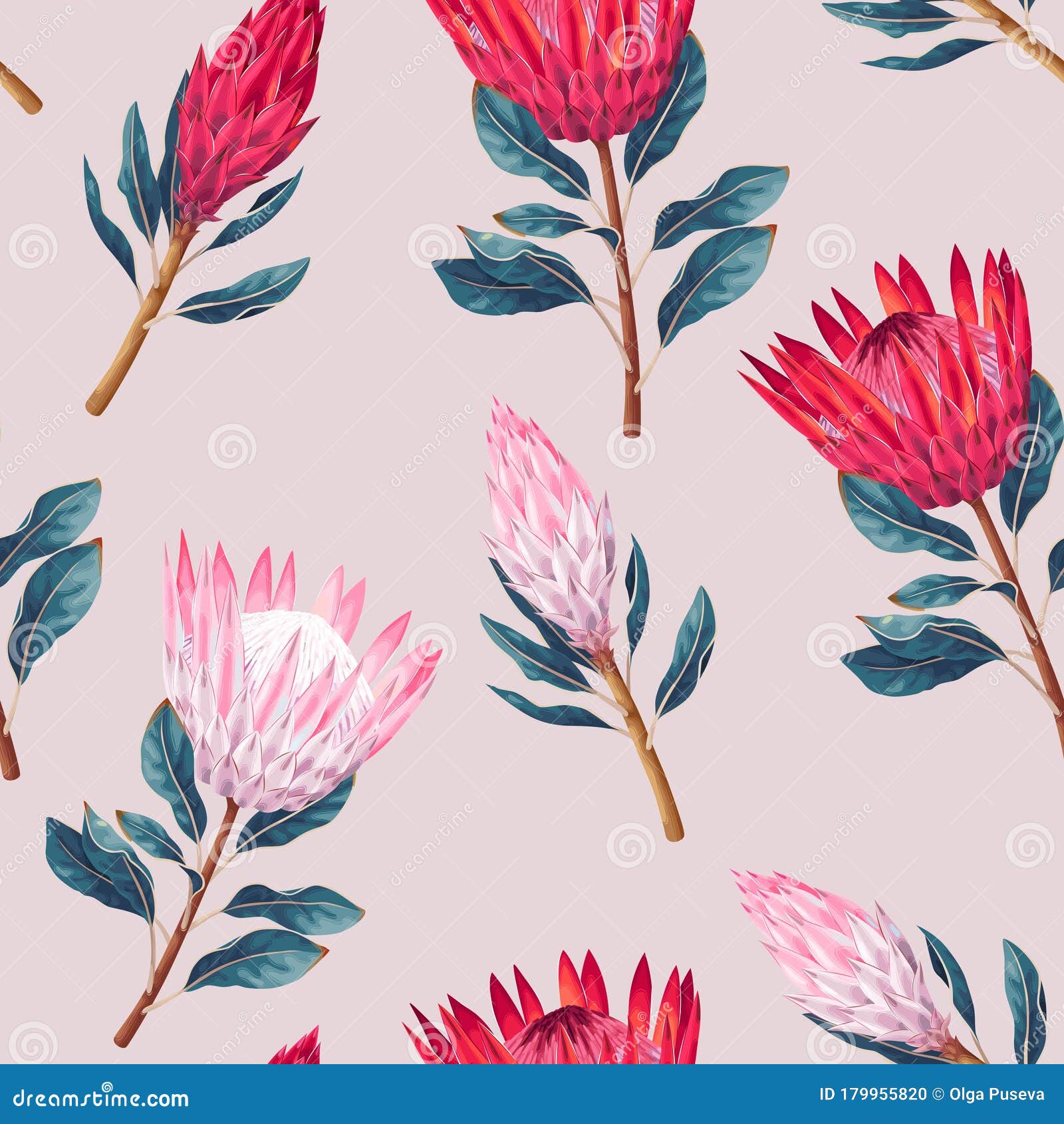 Vector Seamless Pattern with High Detailed Protea Stock Vector ...