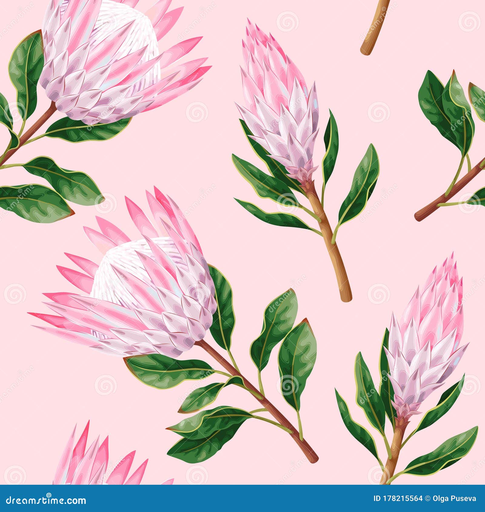 Vector Seamless Pattern with High Detailed Protea Stock Vector ...