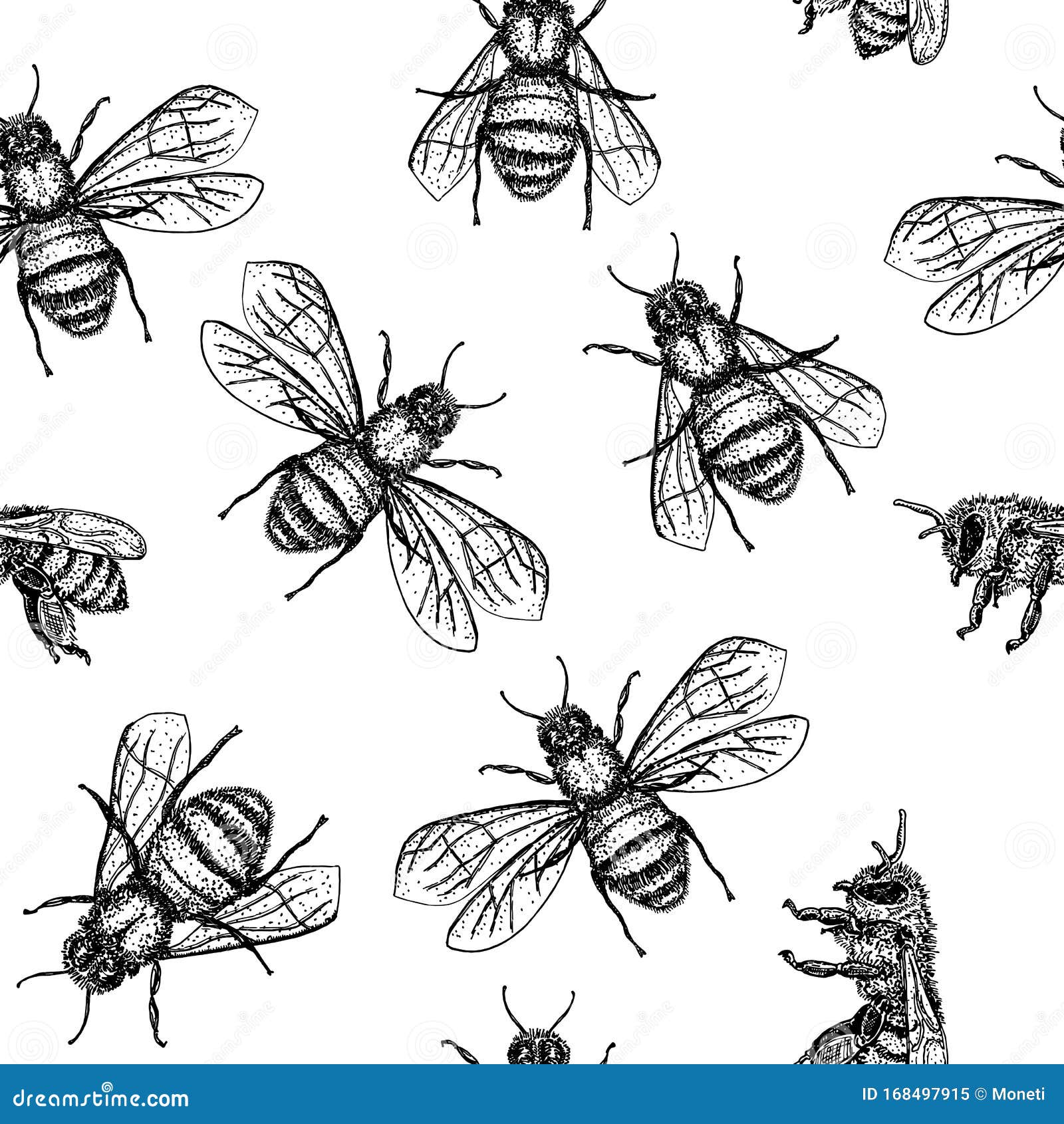 Vector Seamless Pattern with Honey Bee. Engraving Style. Hand Drawn ...