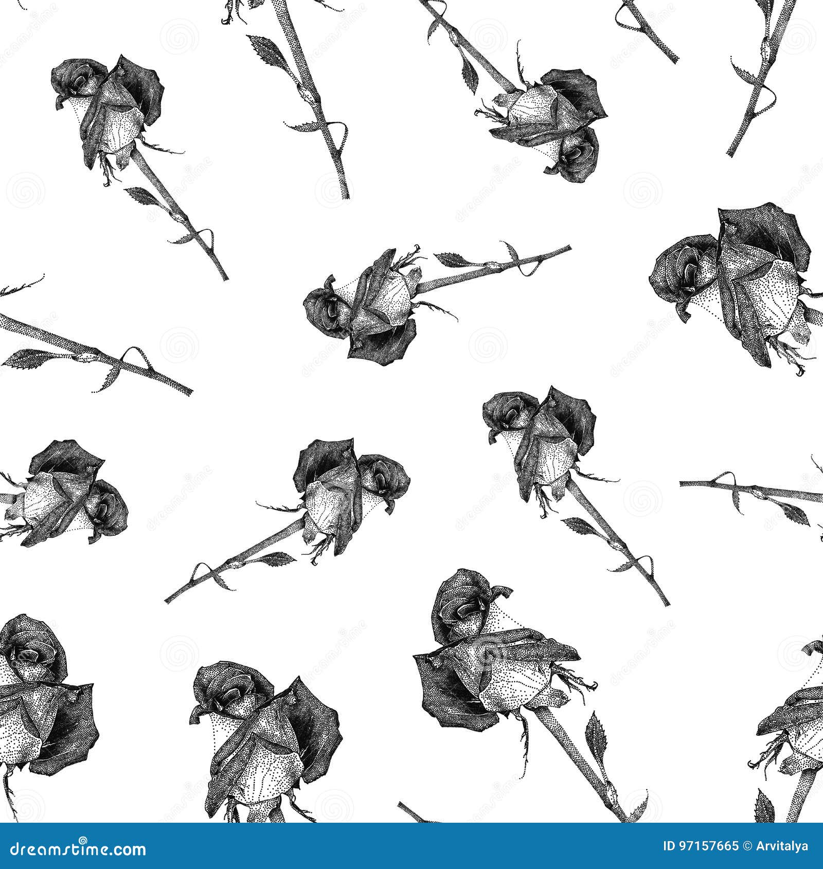 Vector Seamless Pattern with Hybrid Tea Rose Isolated on White ...