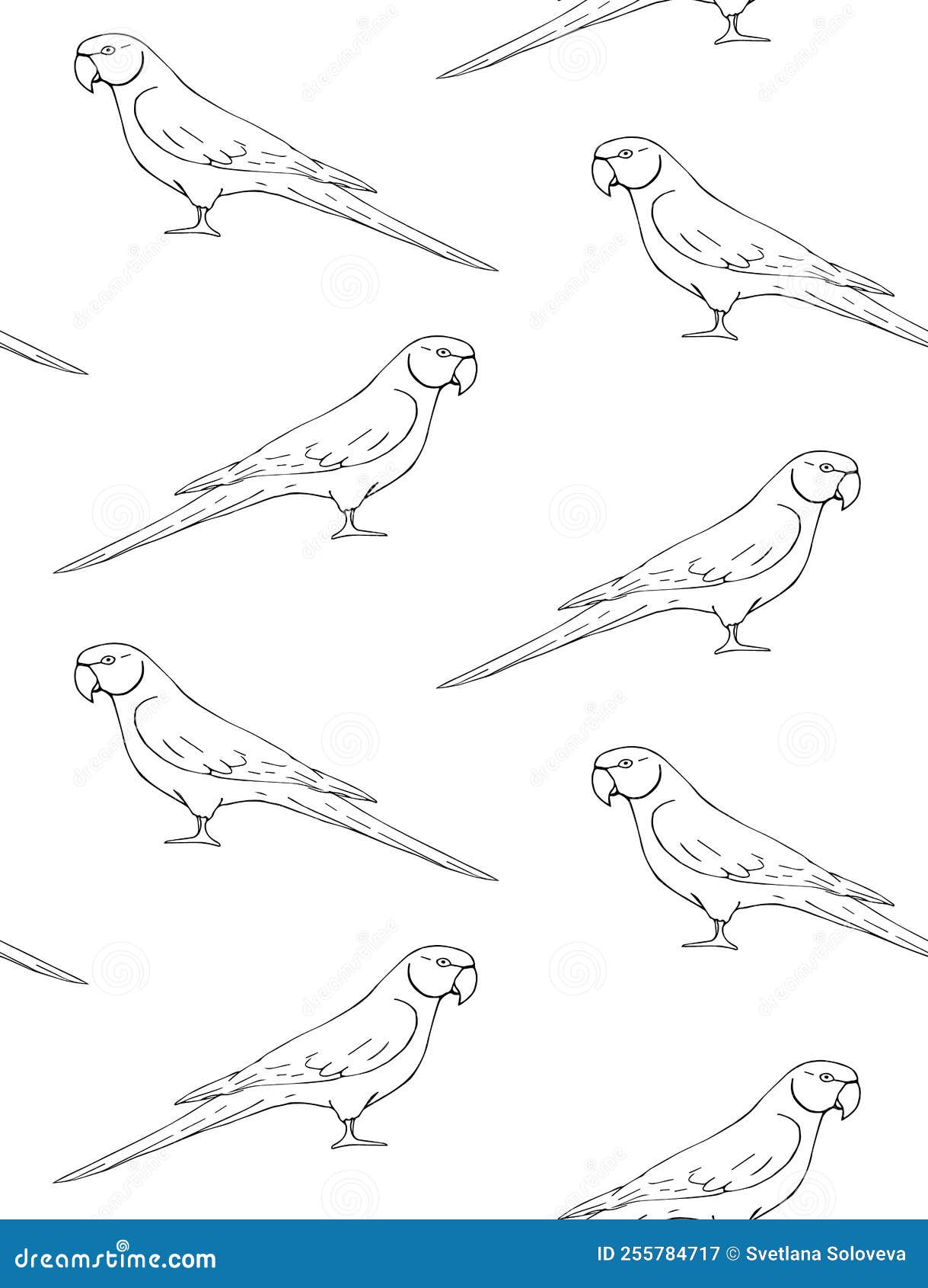 Vector Seamless Pattern of Indian Ringneck Parrot Stock Vector ...