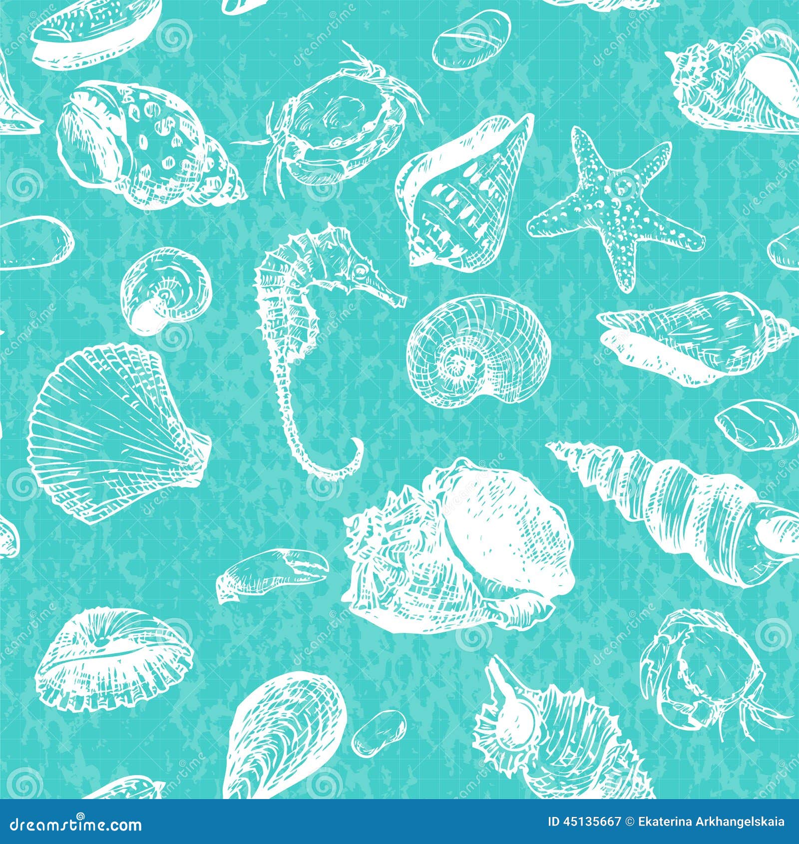 Hand Drawn Seashell Line Drawing Stock Illustrations – 2,189 Hand Drawn ...