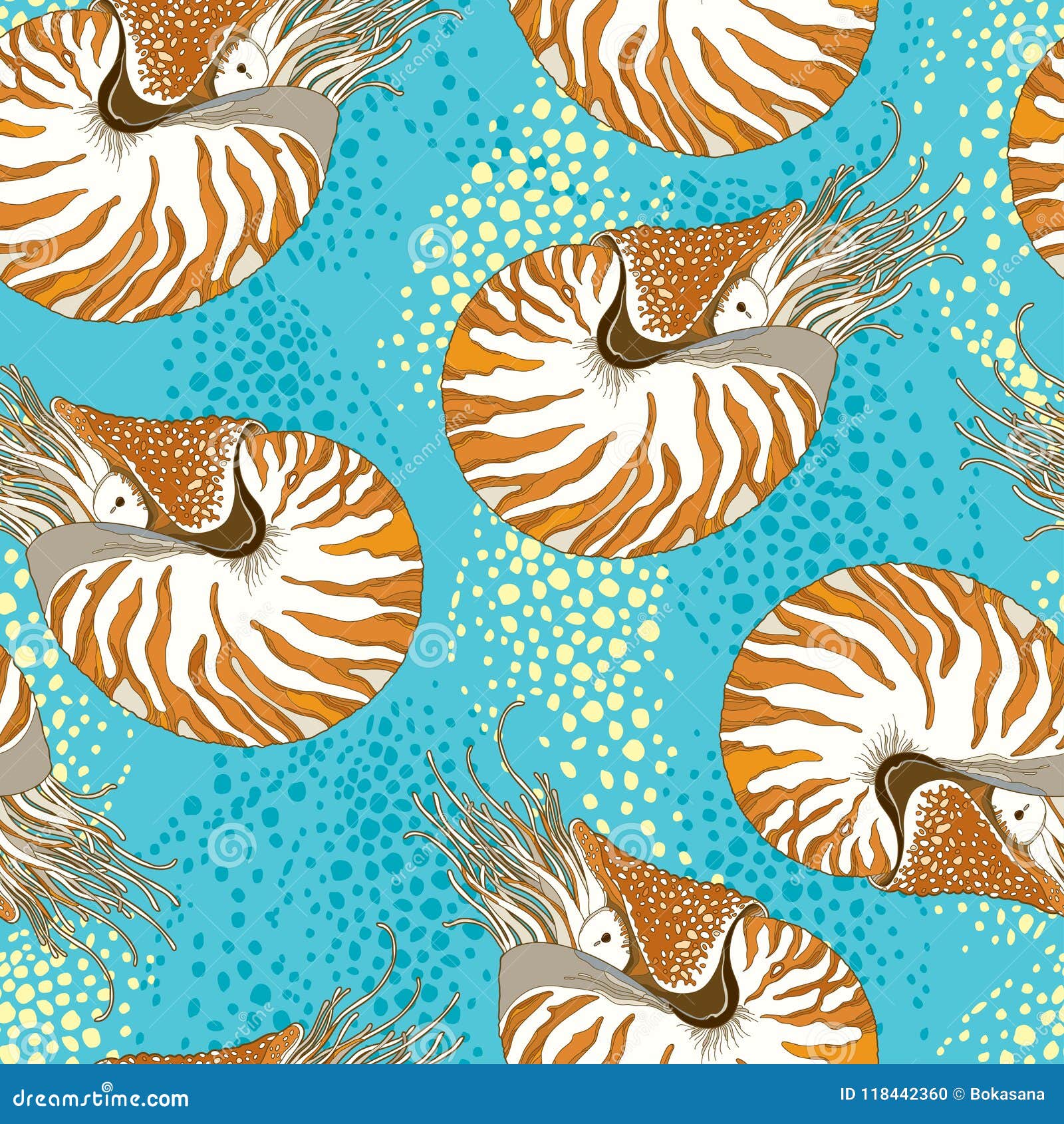 Silhouette Chambered Nautilus, Nautilus Pompilius Shell Ocean Mollusk ... Silhouette Chambered Nautilus, Nautilus Pompilius Shell Ocean Mollusk ...