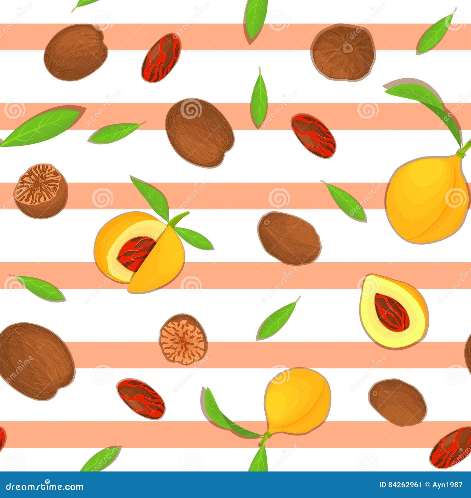 Vector Seamless Pattern Nutmeg Spice Fruit. Striped Background with ...