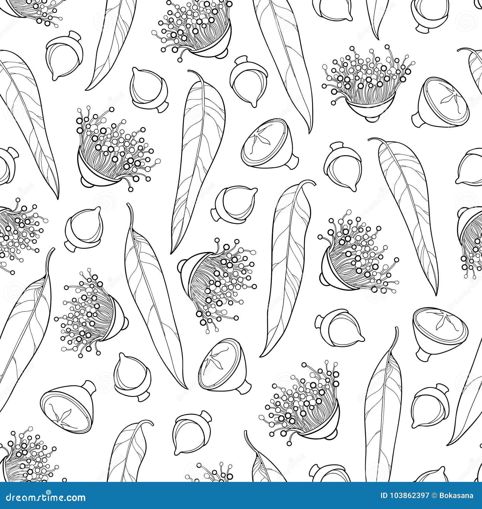 Vector Seamless Pattern with Outline Eucalyptus Globulus or Tasmanian ...
