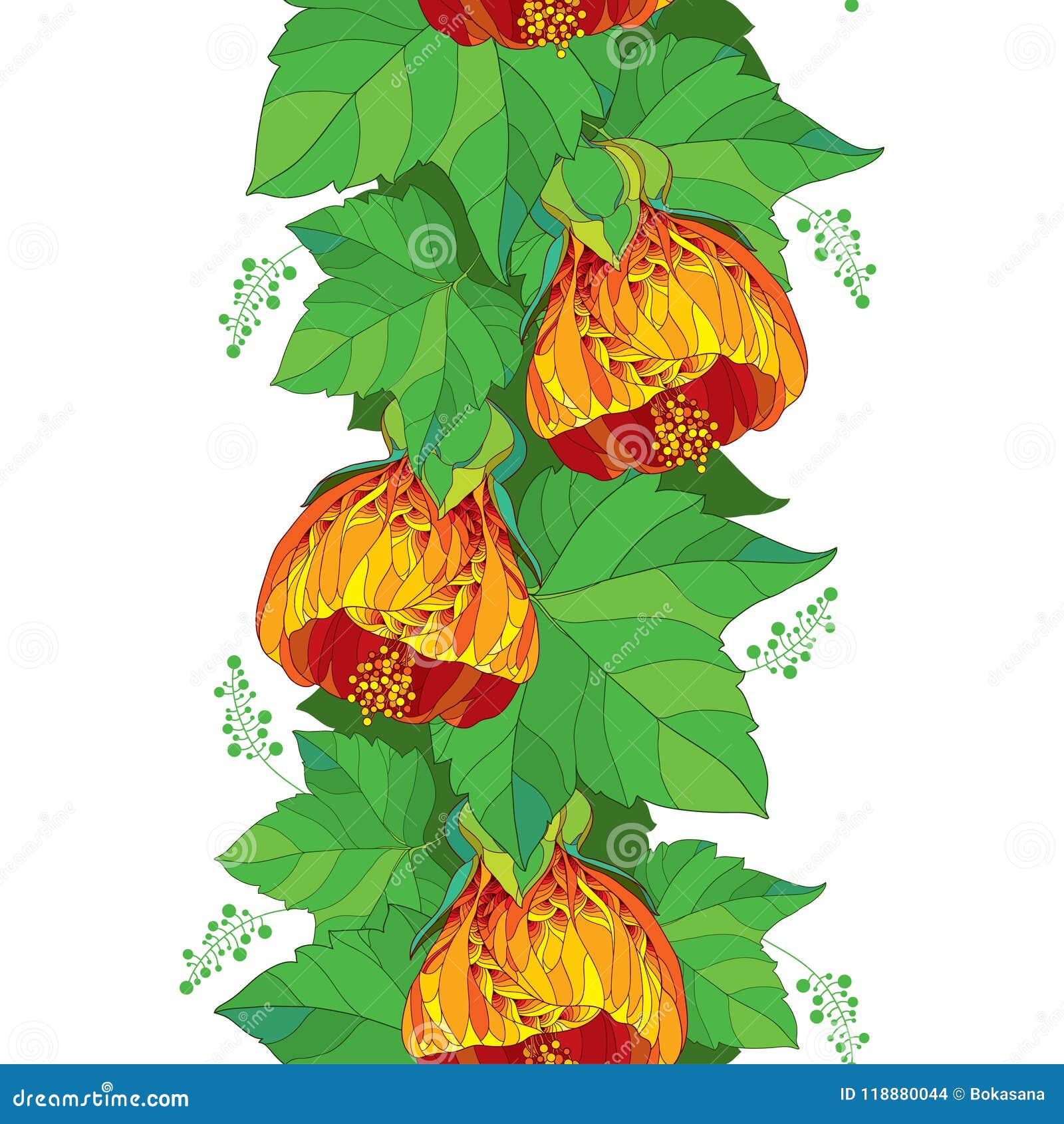 Indian Abutilon Or Mallow Abutilon Indicum , Medicinal Plant Vector ...