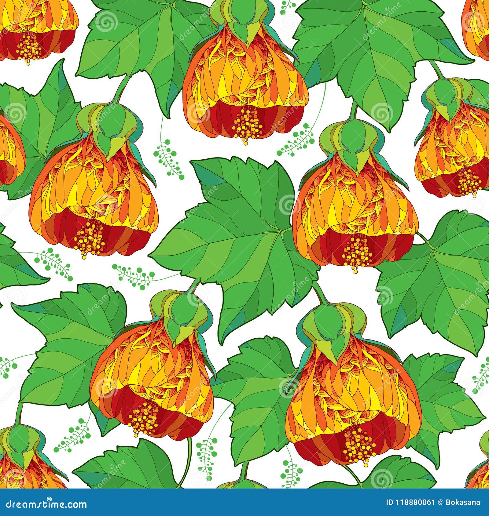 Indian Abutilon Or Mallow Abutilon Indicum , Medicinal Plant Vector ...