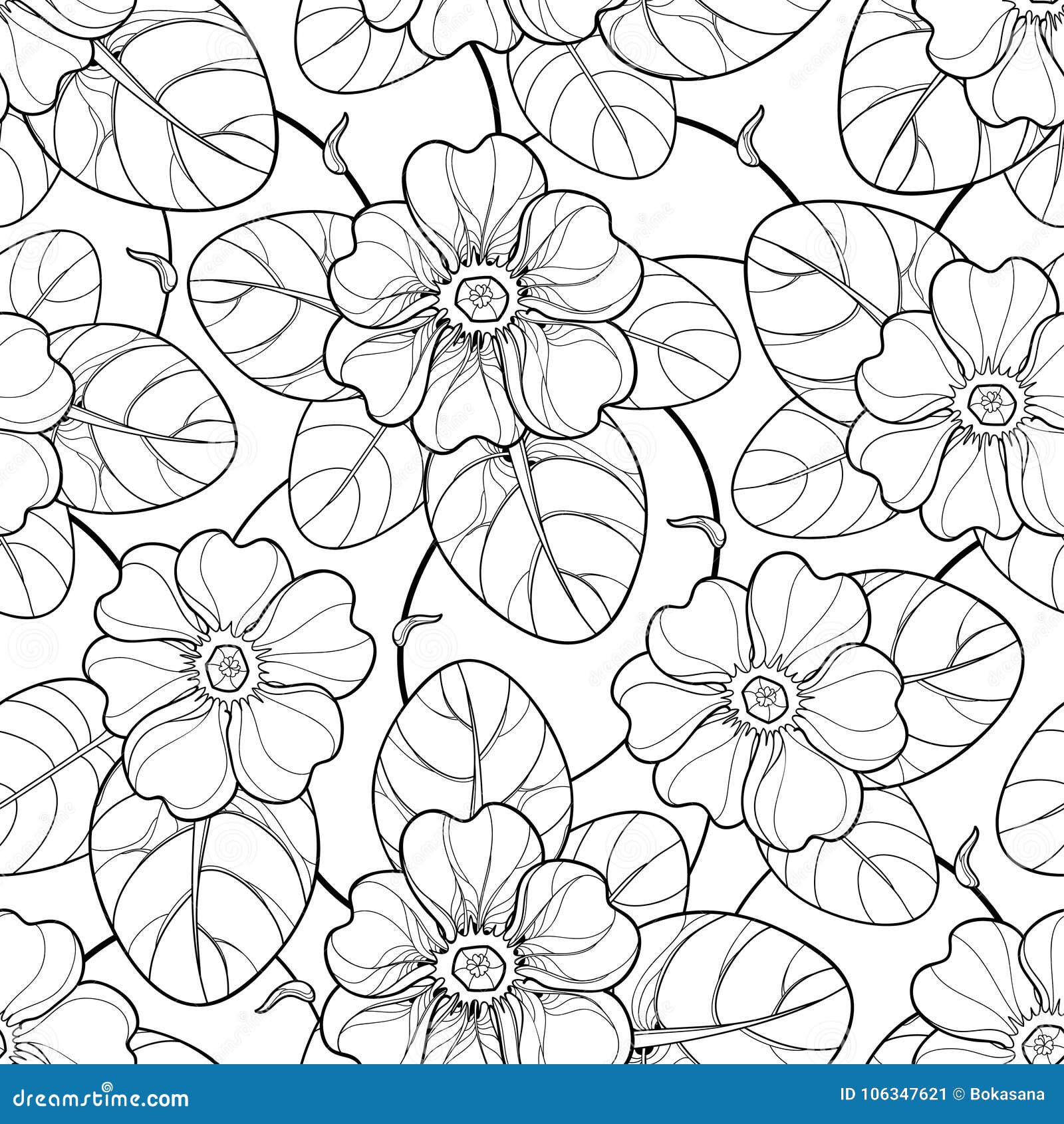Vector Seamless Pattern With Outline Primula Or Primrose Flower And ...