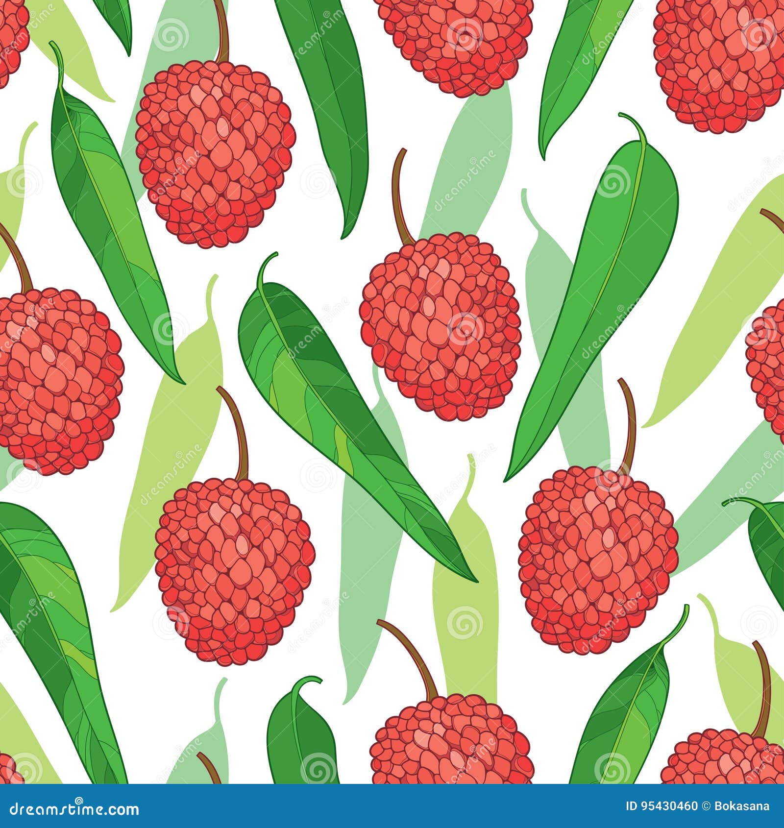 Litchi Fruit Drawing, Lychee. Watercolor Litchi On A White Background ...