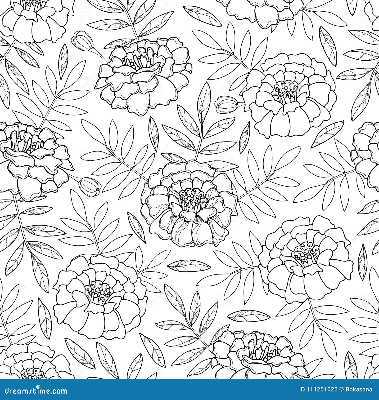 Marigold Coloring Book Vector For Tattoo Design Isolate On White ...
