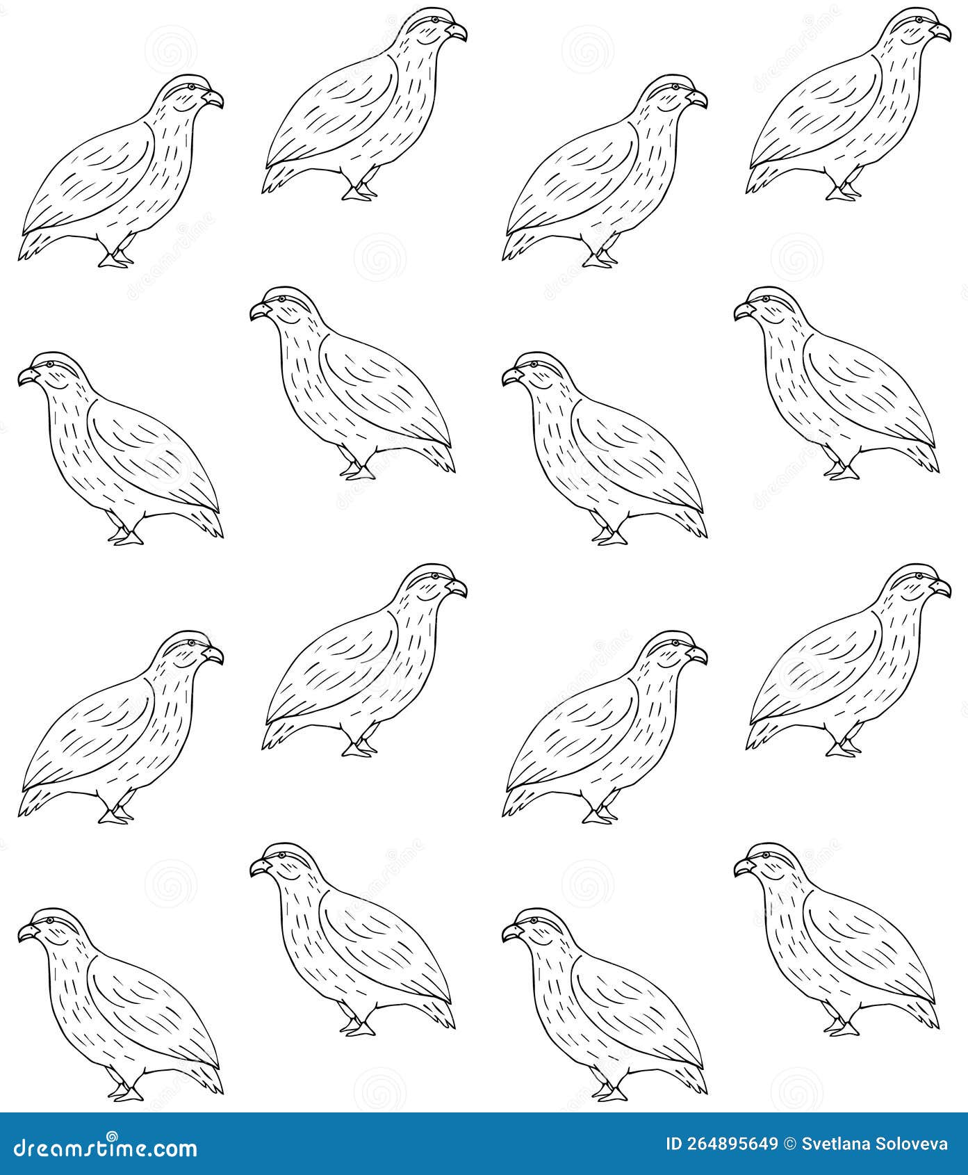 Vector Seamless Pattern of Partridge Bird Stock Vector - Illustration ...