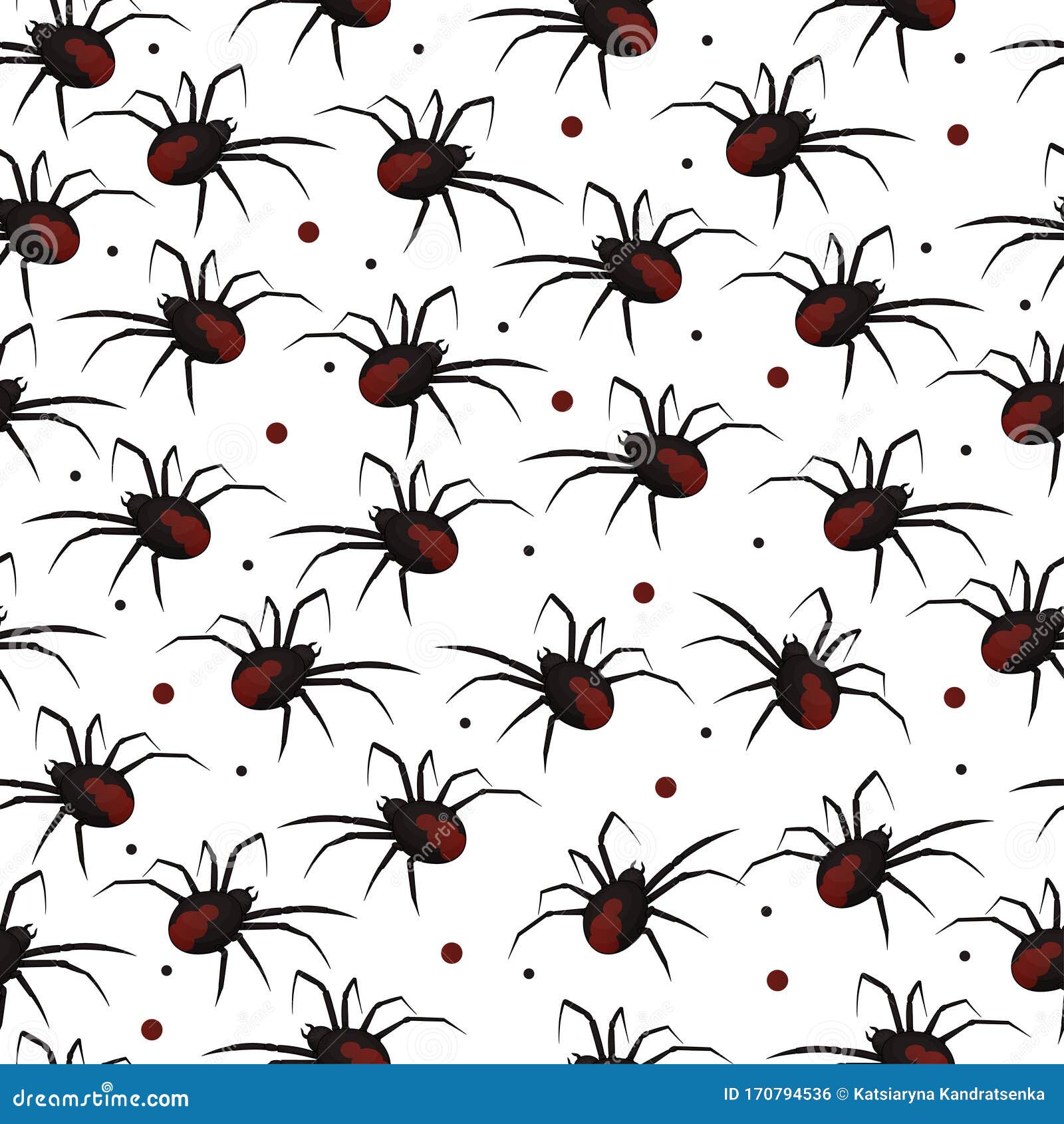 The Redback Spider, Australian Black Widow Latrodectus Hasselti Stock ...