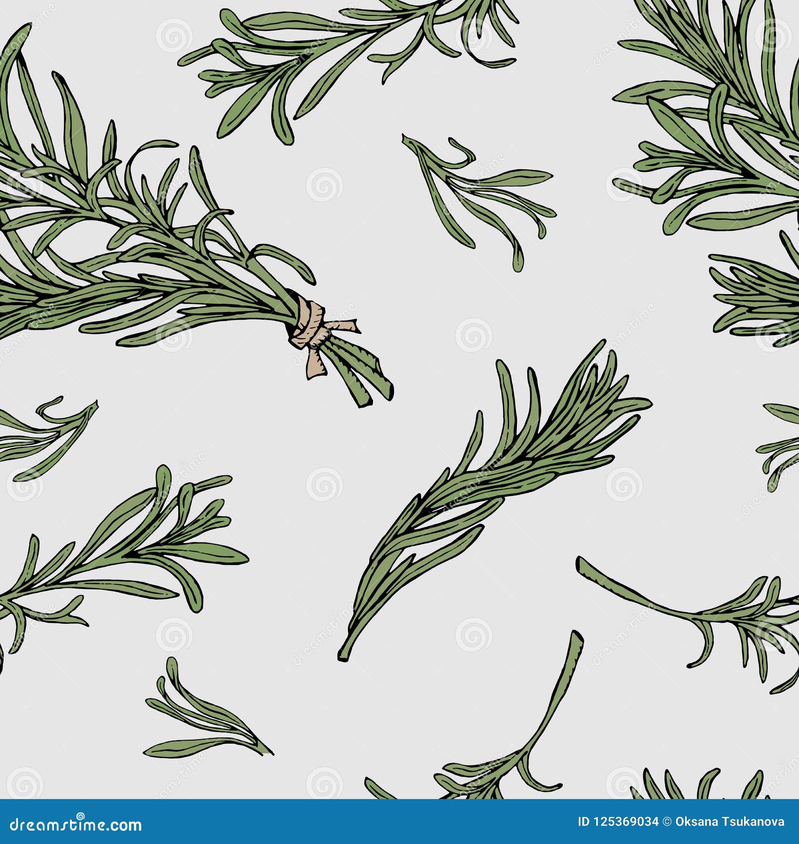 Rosemary Seamless Pattern in Color Stock Vector - Illustration of ...