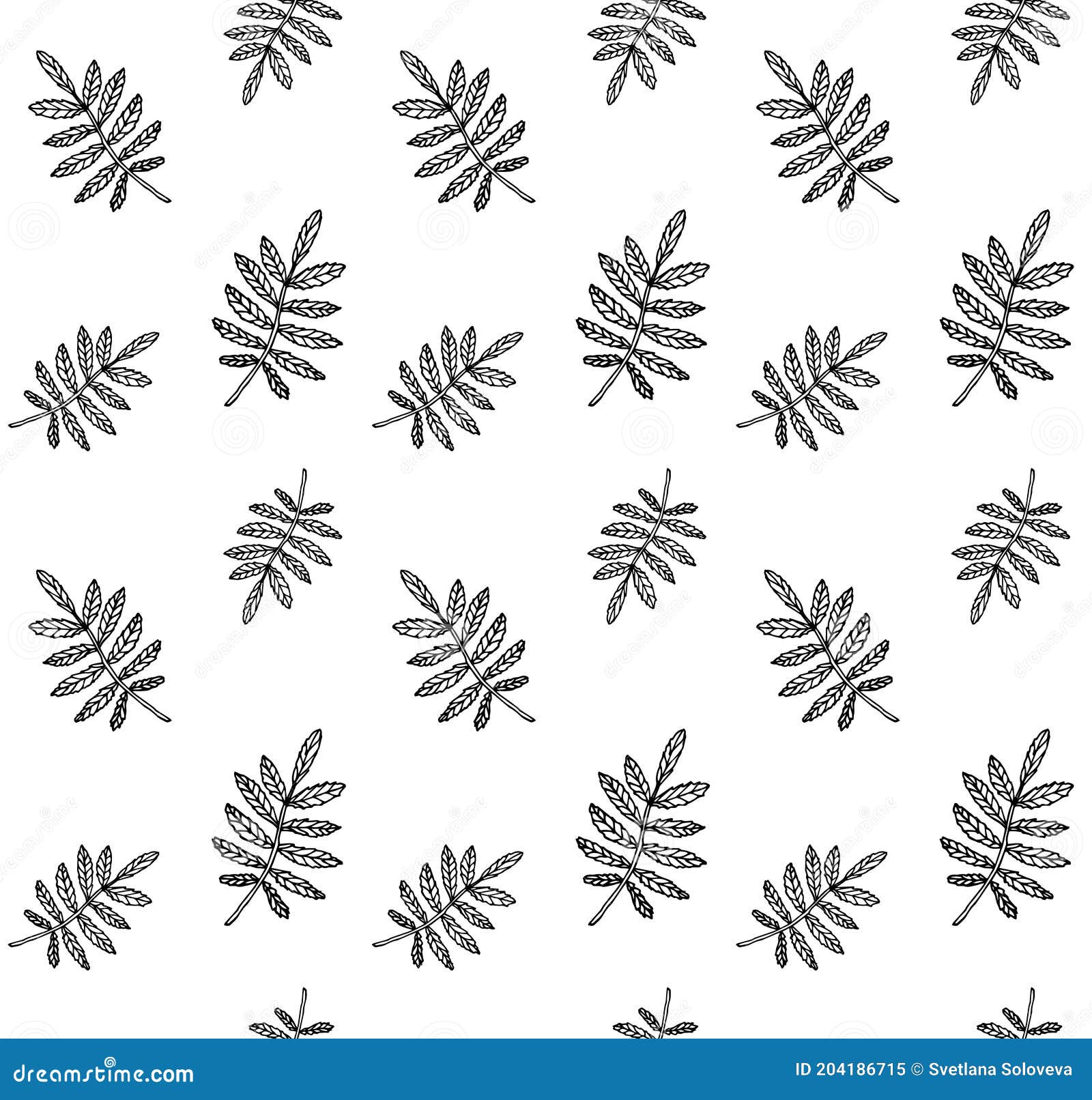 Vector Seamless Pattern of Rowan Leaf Stock Illustration - Illustration ...
