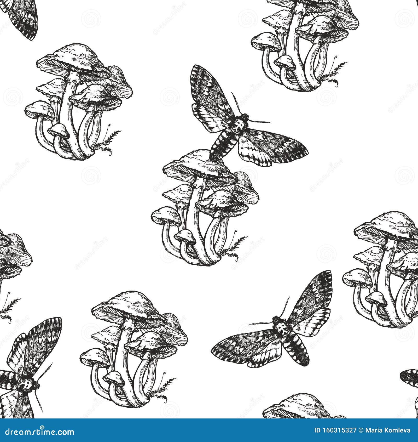 Death Head Hawkmoth On The Full Moon And Night Sky Background. Skull ...