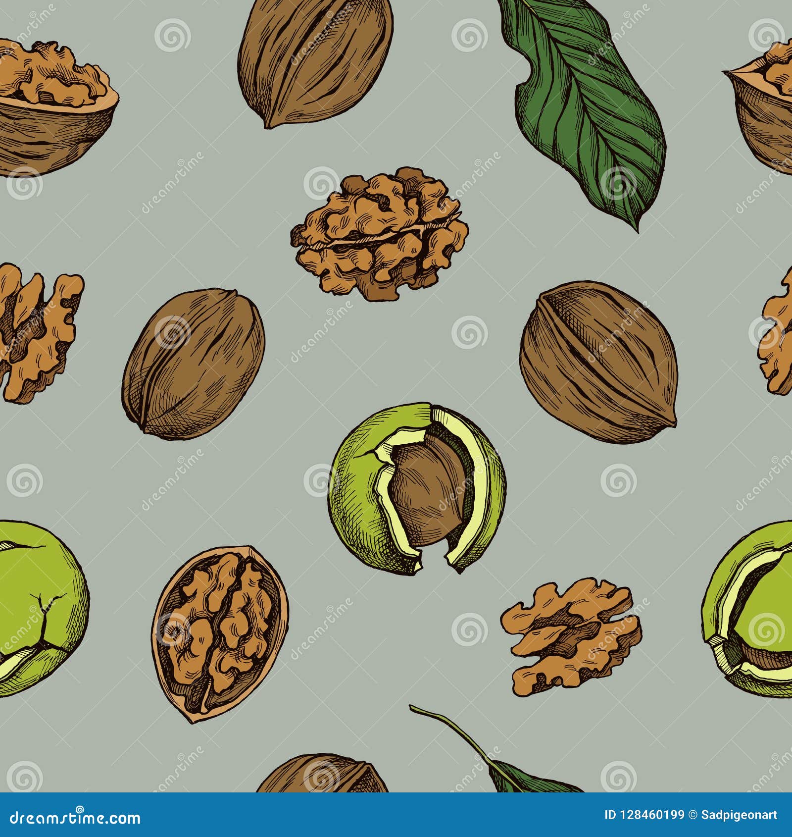 Vector Seamless Pattern of Walnuts. Hand Drawn Vector Illustration ...