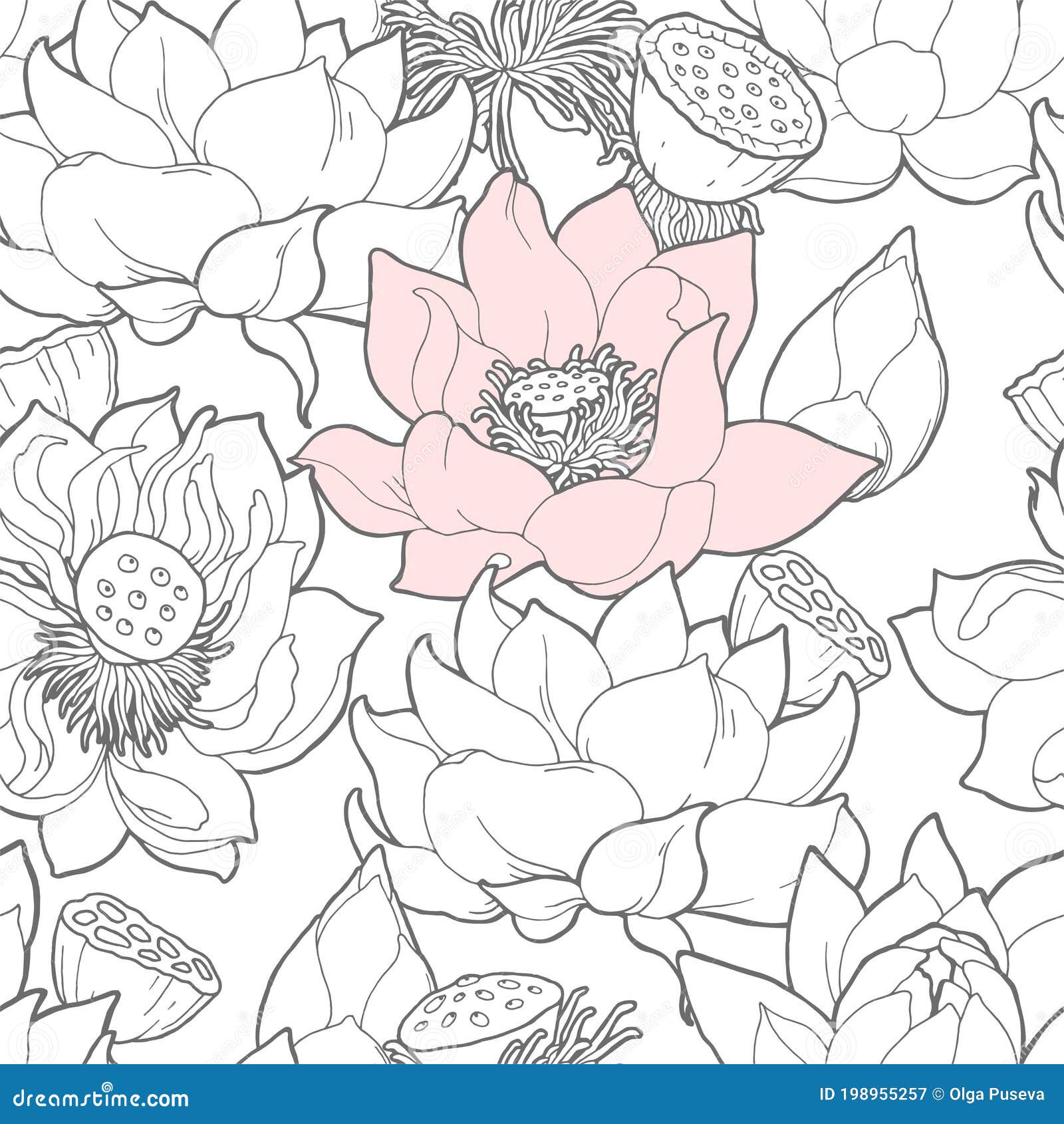 Vector Seamless Pattern with White and Pink Lotus Stock Vector ...