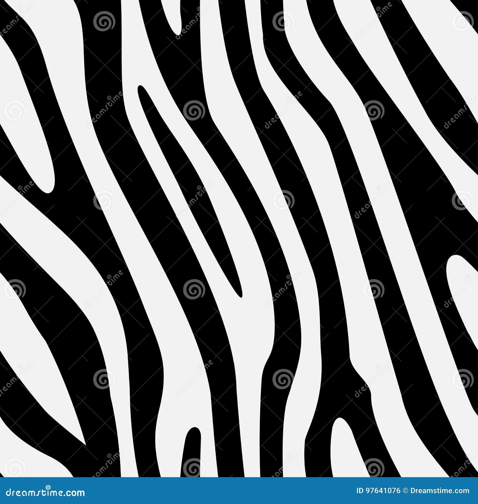Vector Seamless Zebra Texture Stock Vector - Illustration of decoration ...