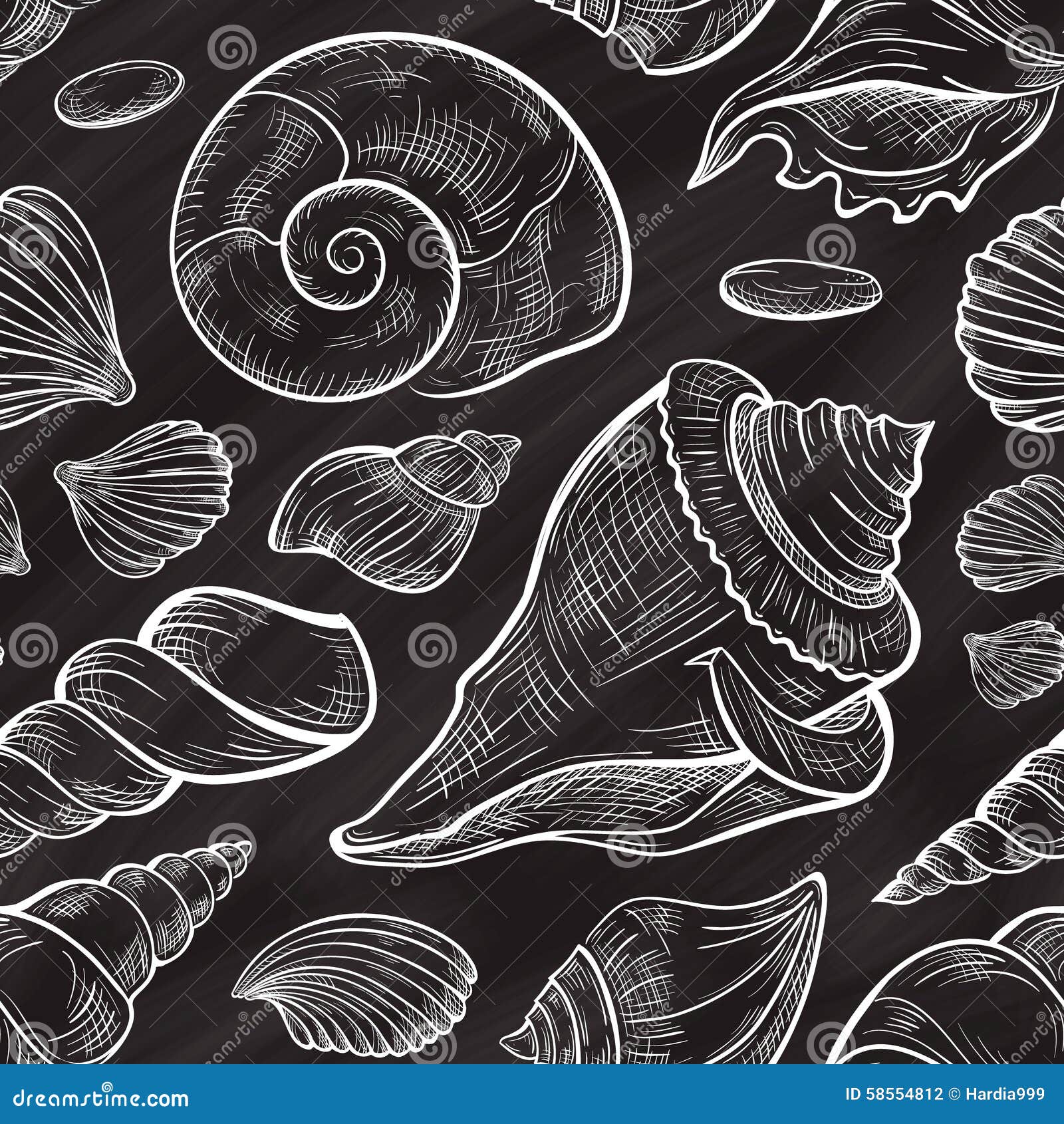 Vector Seashells Seamless Pattern. Chalkboard Style. Stock Illustration ...