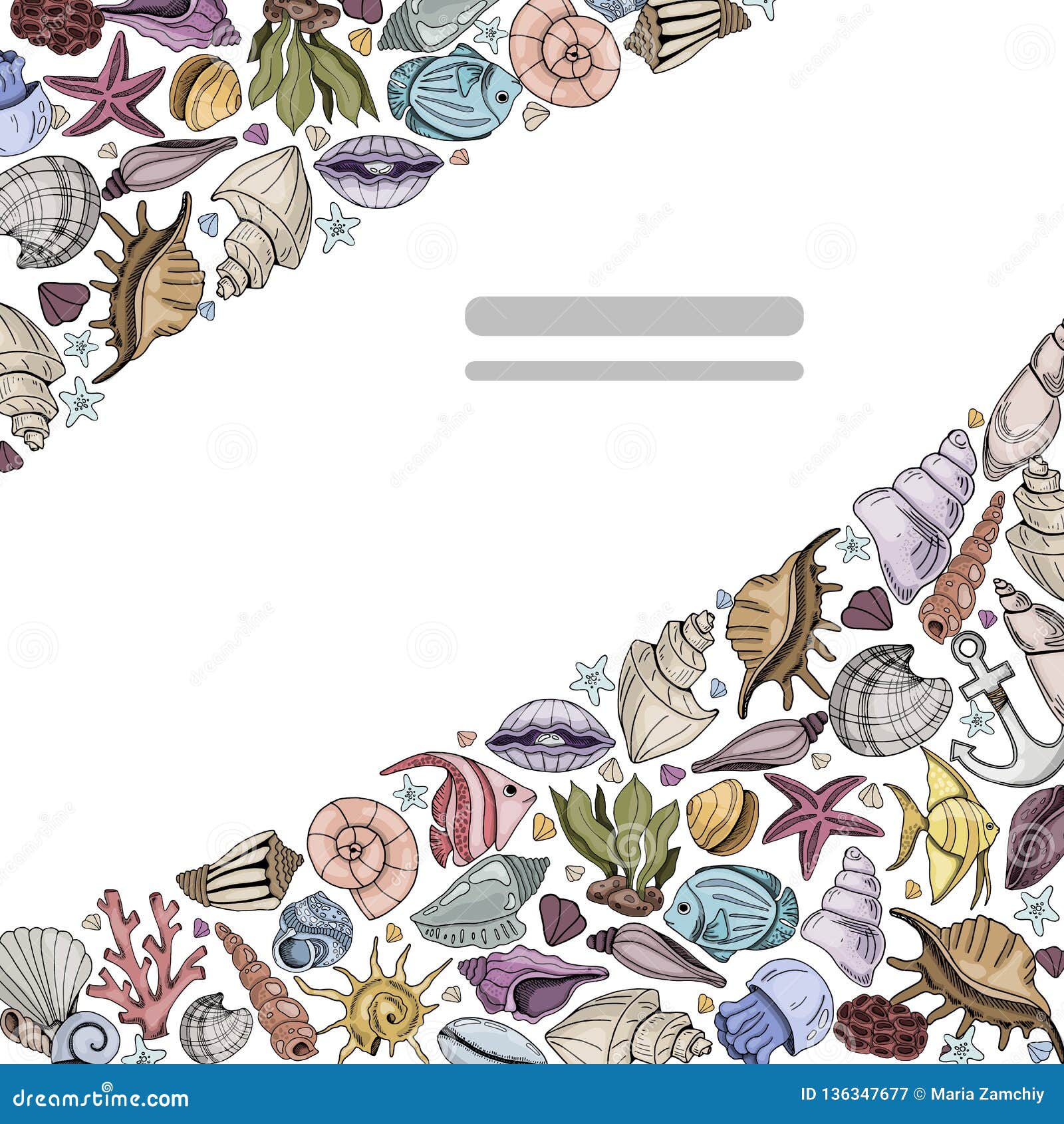 Vector seashells set stock vector. Illustration of jellyfish - 136347677