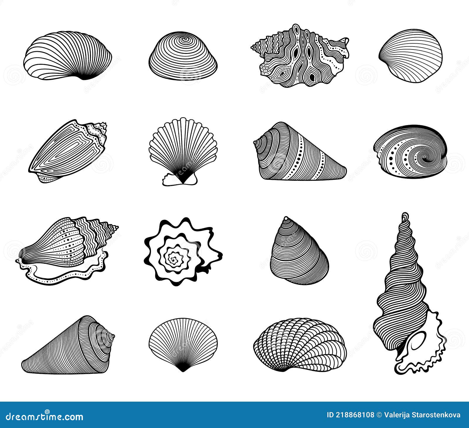 Vector Set of Abstract, Decorative, Outline Seashells in Black Color ...