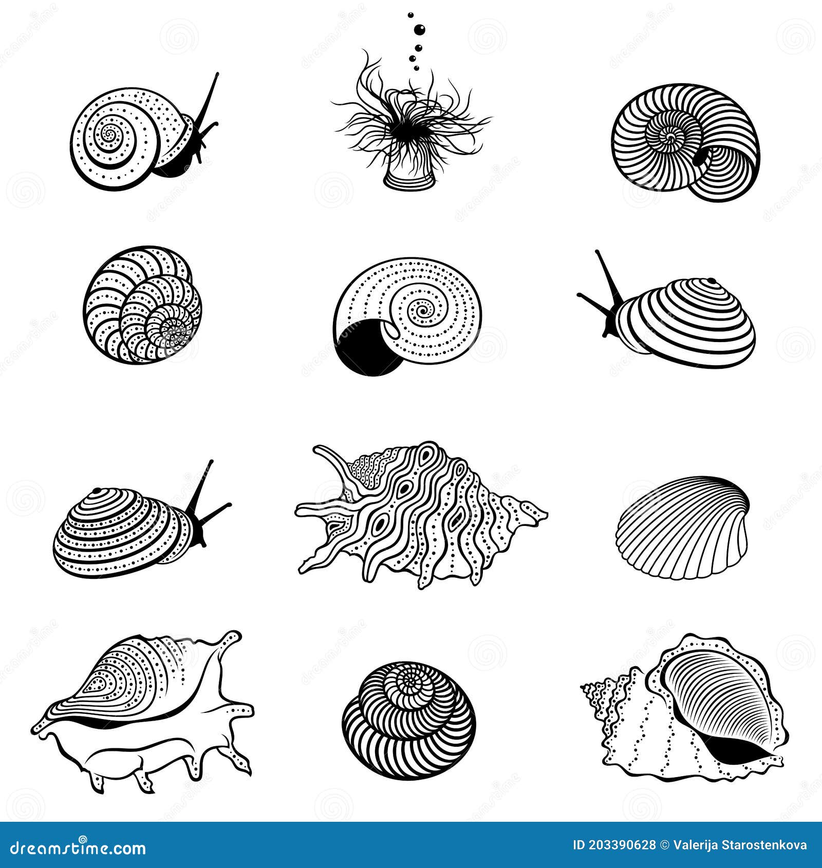 Vector Set of Abstract, Decorative, Outline Seashells and Snails in ...