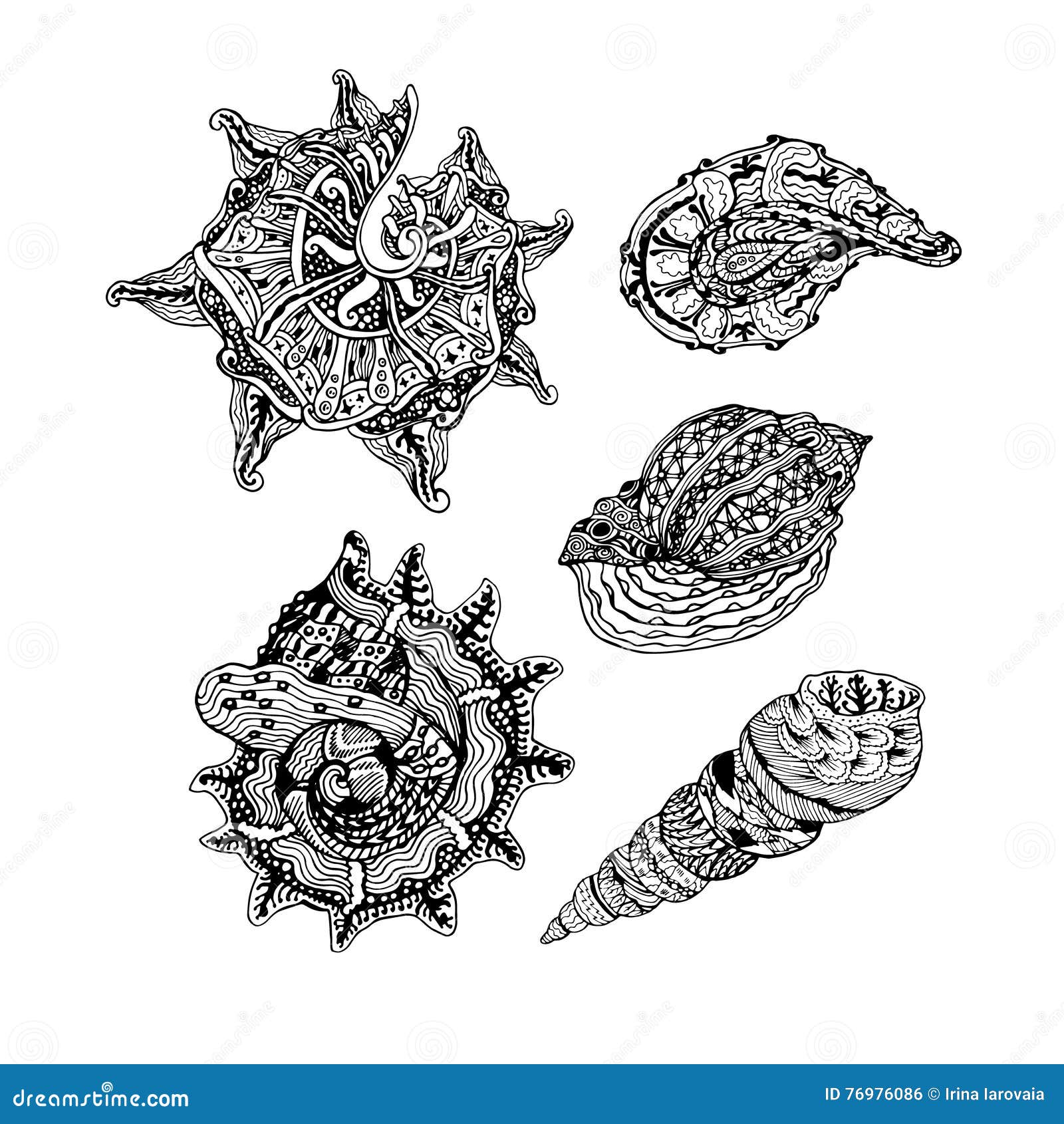 Vector Set of Abstract Shells. Stock Vector - Illustration of figured ...