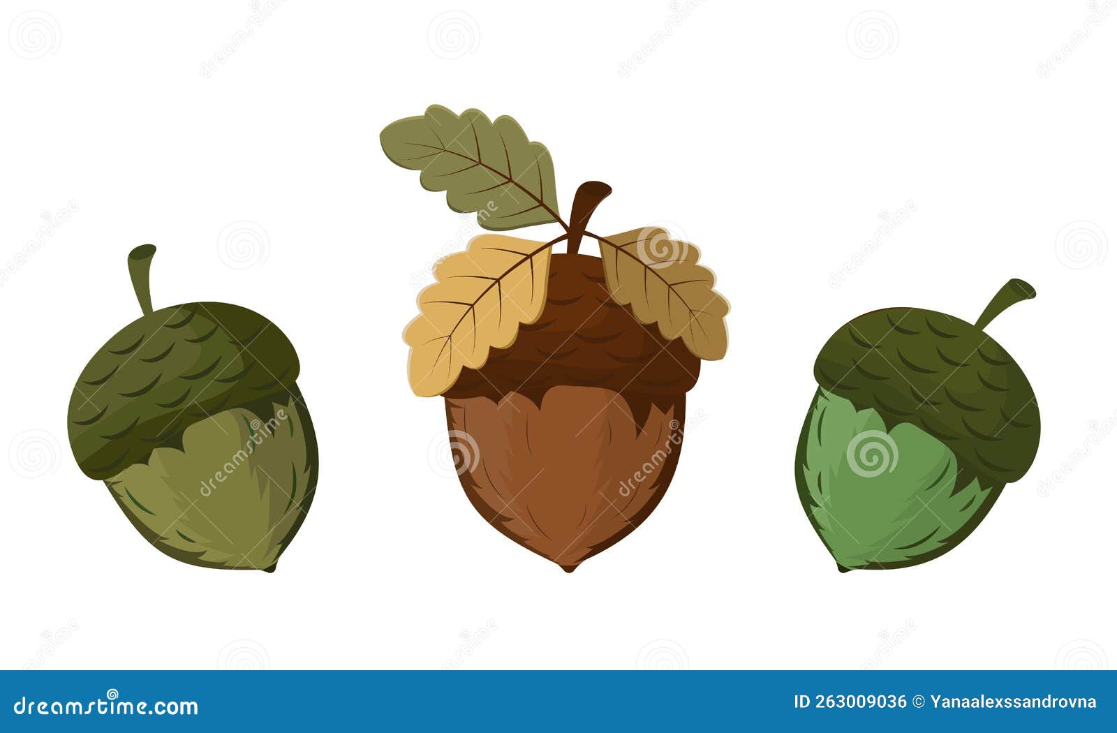 Acron Icon, October Forest Decoration For Natural Design Cartoon Vector ...