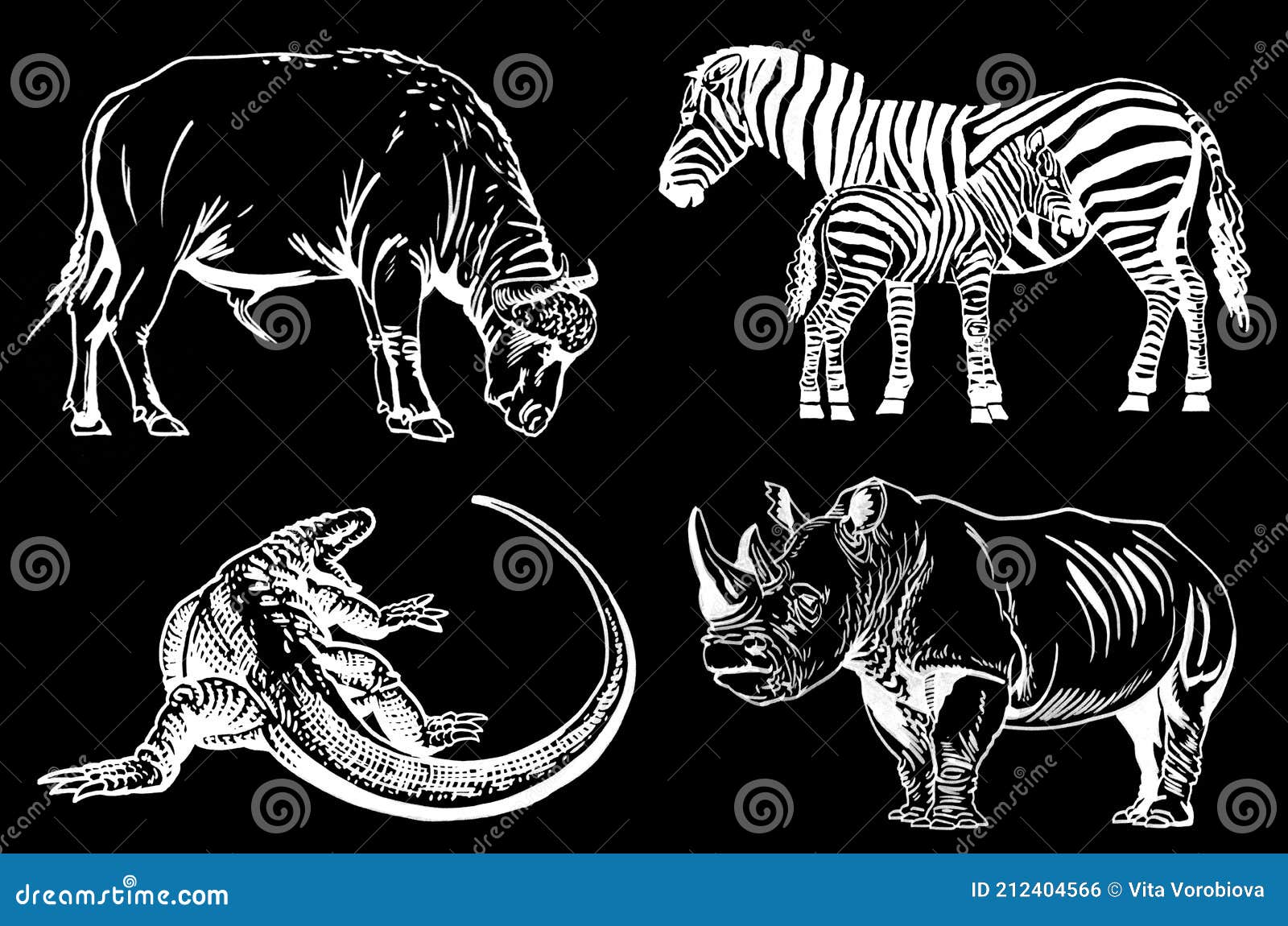 Vector Set of Animals Isolated on Black Background, African Collection ...