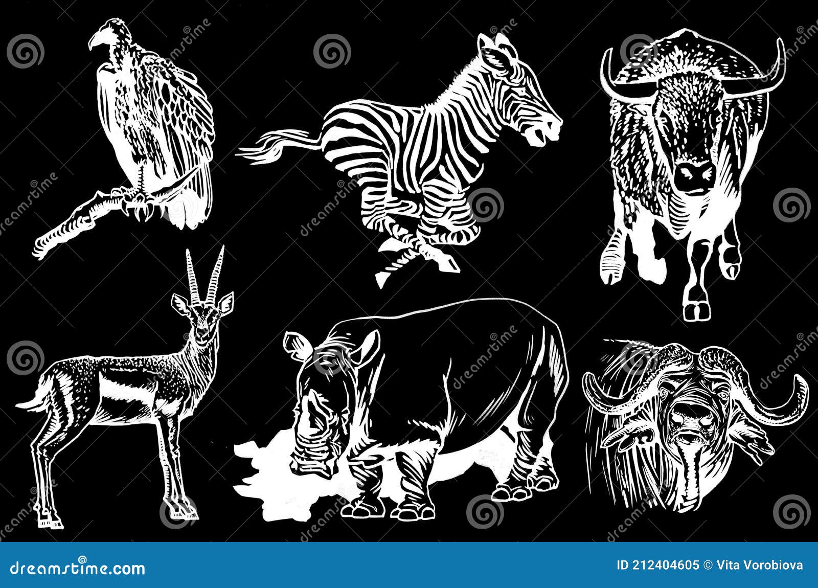 Vector Set of Animals Isolated on Black Background, African Collection ...