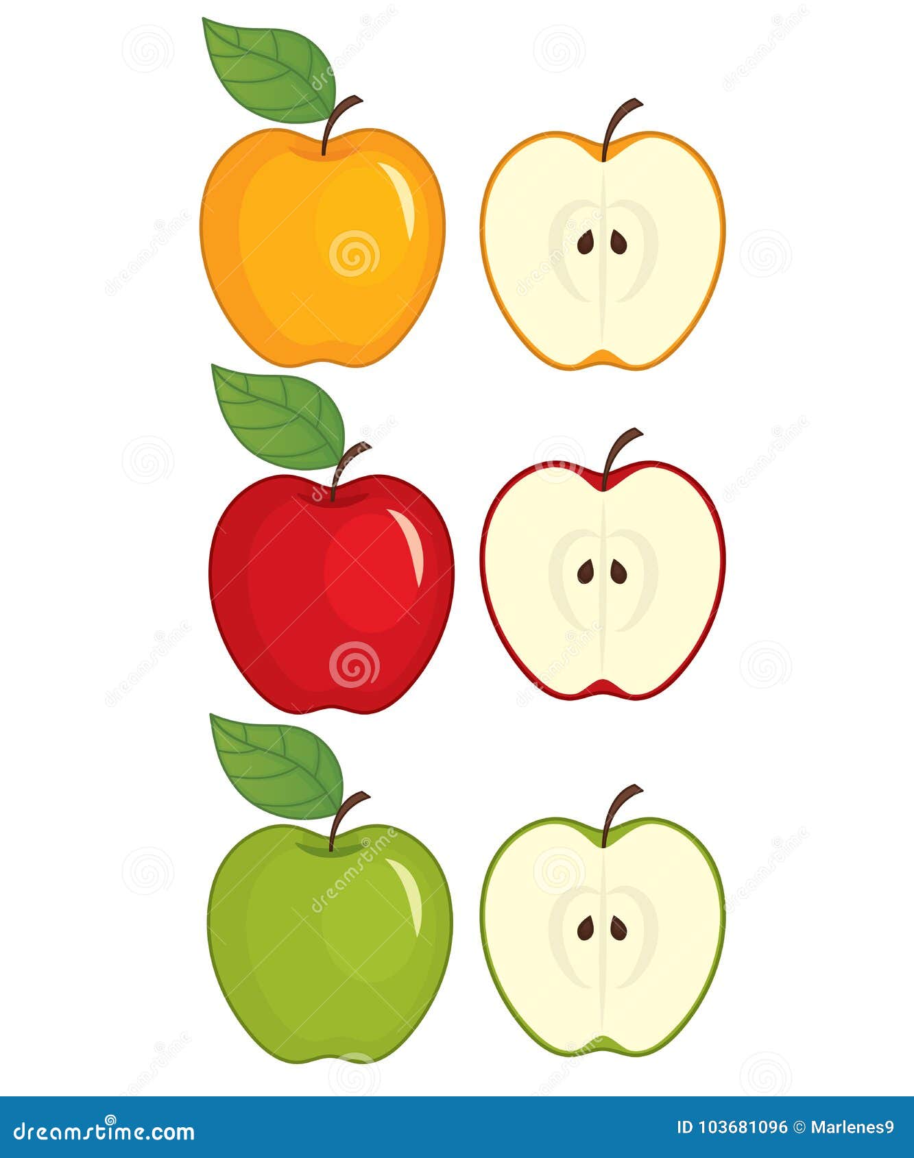 Vector Set of Apples. Vector Whole Apple and Half of Apple Stock Vector ...