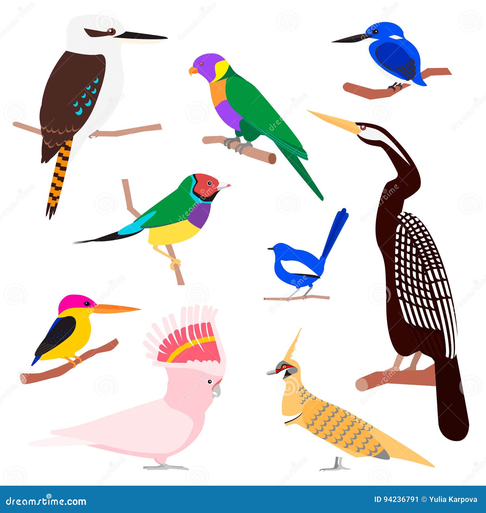 Vector Set of Australian Birds Stock Vector - Illustration of gouldian ...