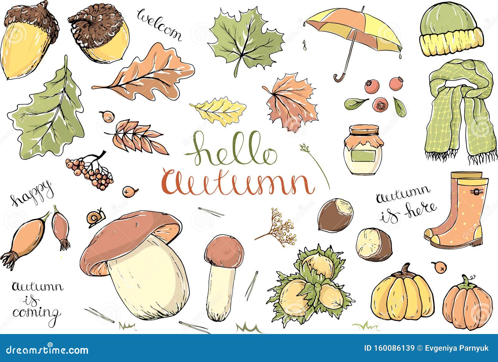 Vector Set of Autumn Items. Cartoon Colored Isolated Objects on a White ...