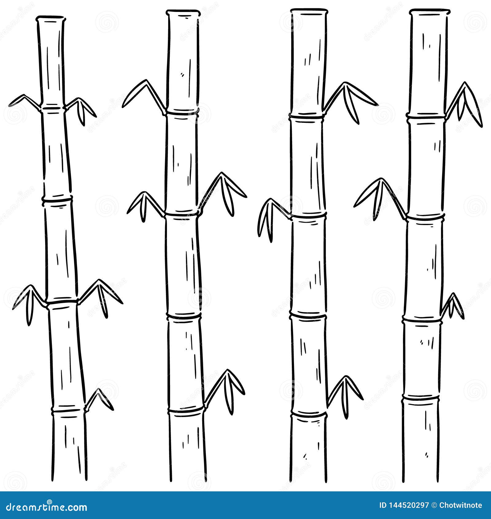 Vector set of bamboos stock vector. Illustration of east - 144520297