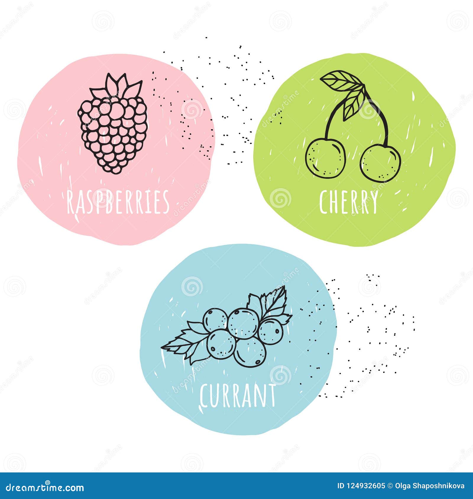 Vector Set of Berries with Names. the Cartoon Style. Isolate Stock ...