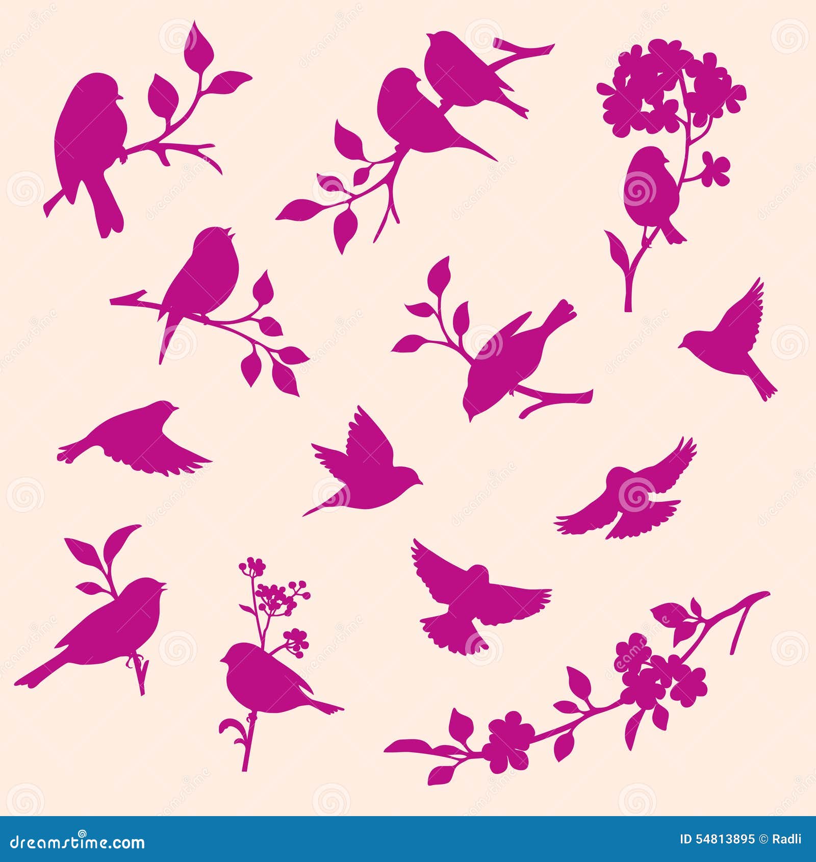 Vector Set of Birds and Twigs Stock Vector - Illustration of graphic ... Vector Set of Birds and Twigs Stock Vector - Illustration of graphic ...