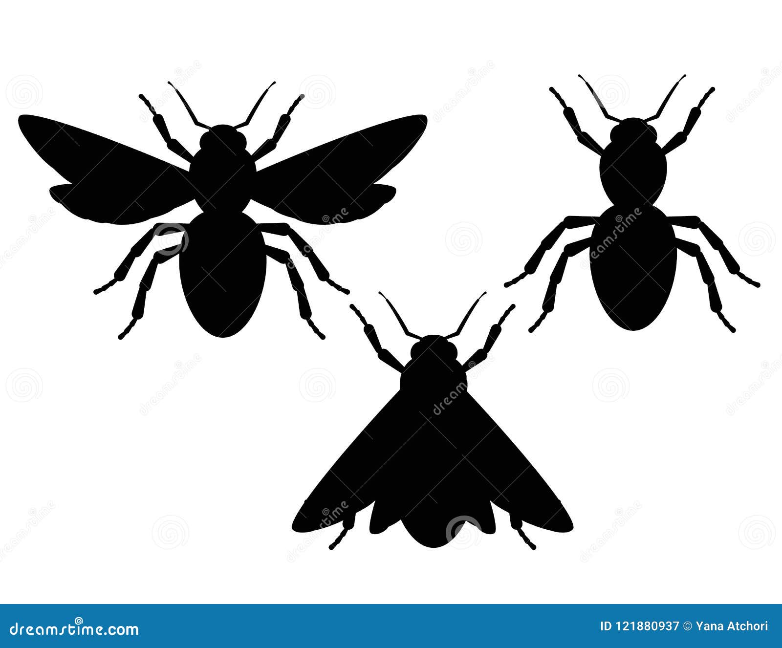 Vector Set Of Black And White Silhouettes Of Insects. Royalty-Free ...