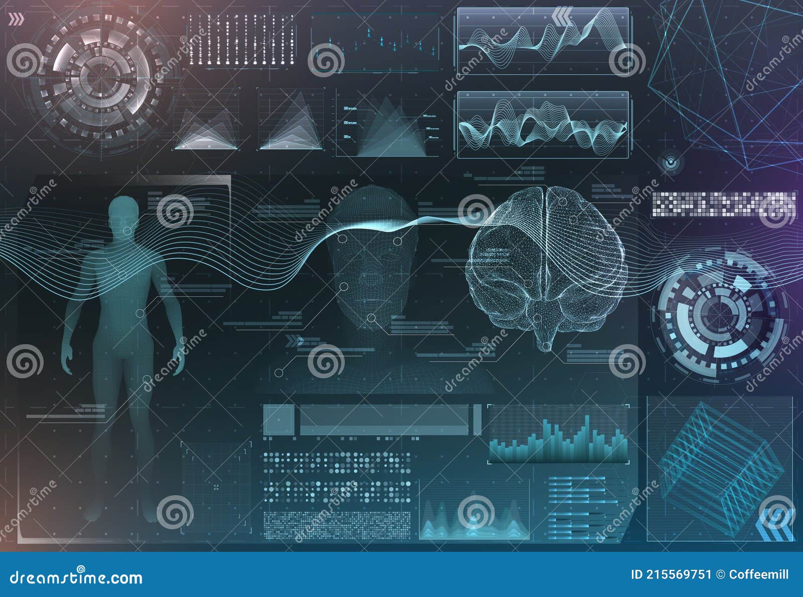 Vector Set of Brain Research Interfaces. Functional Magnetic Resonance ...