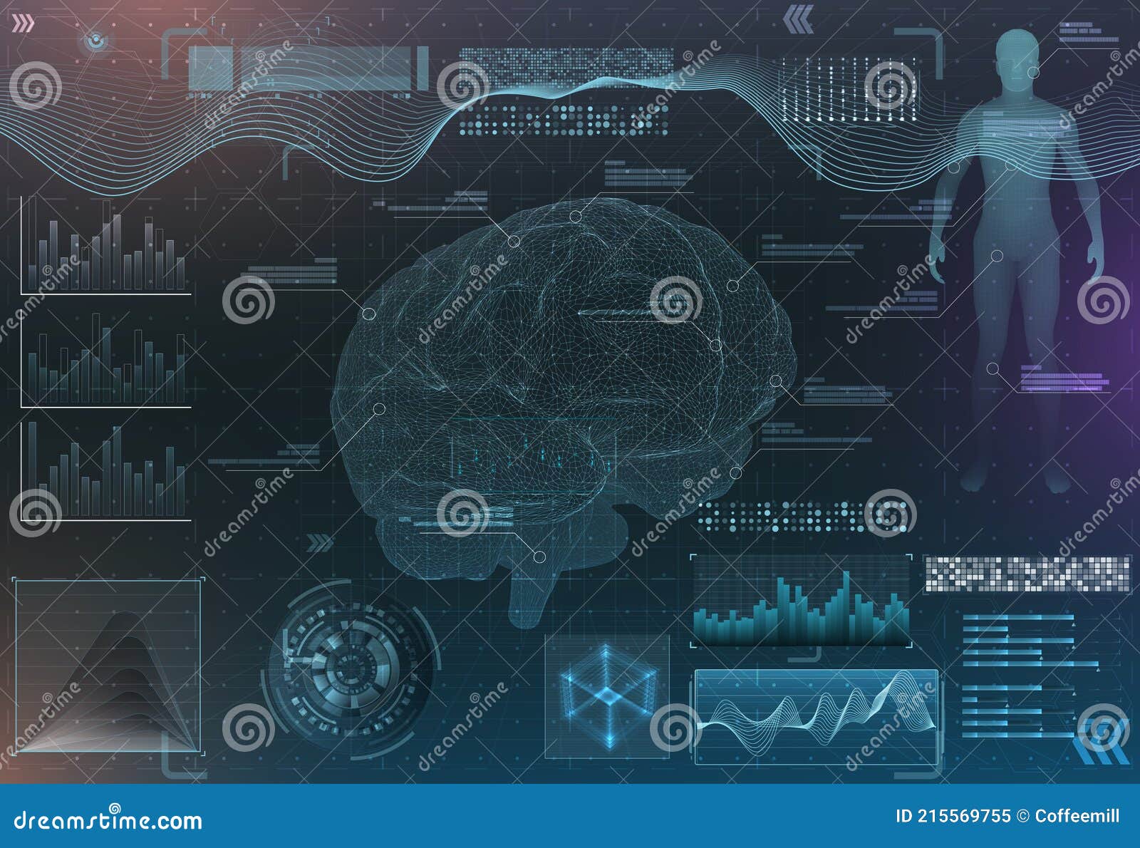 Vector Set of Brain Research Interfaces. Functional Magnetic Resonance ...