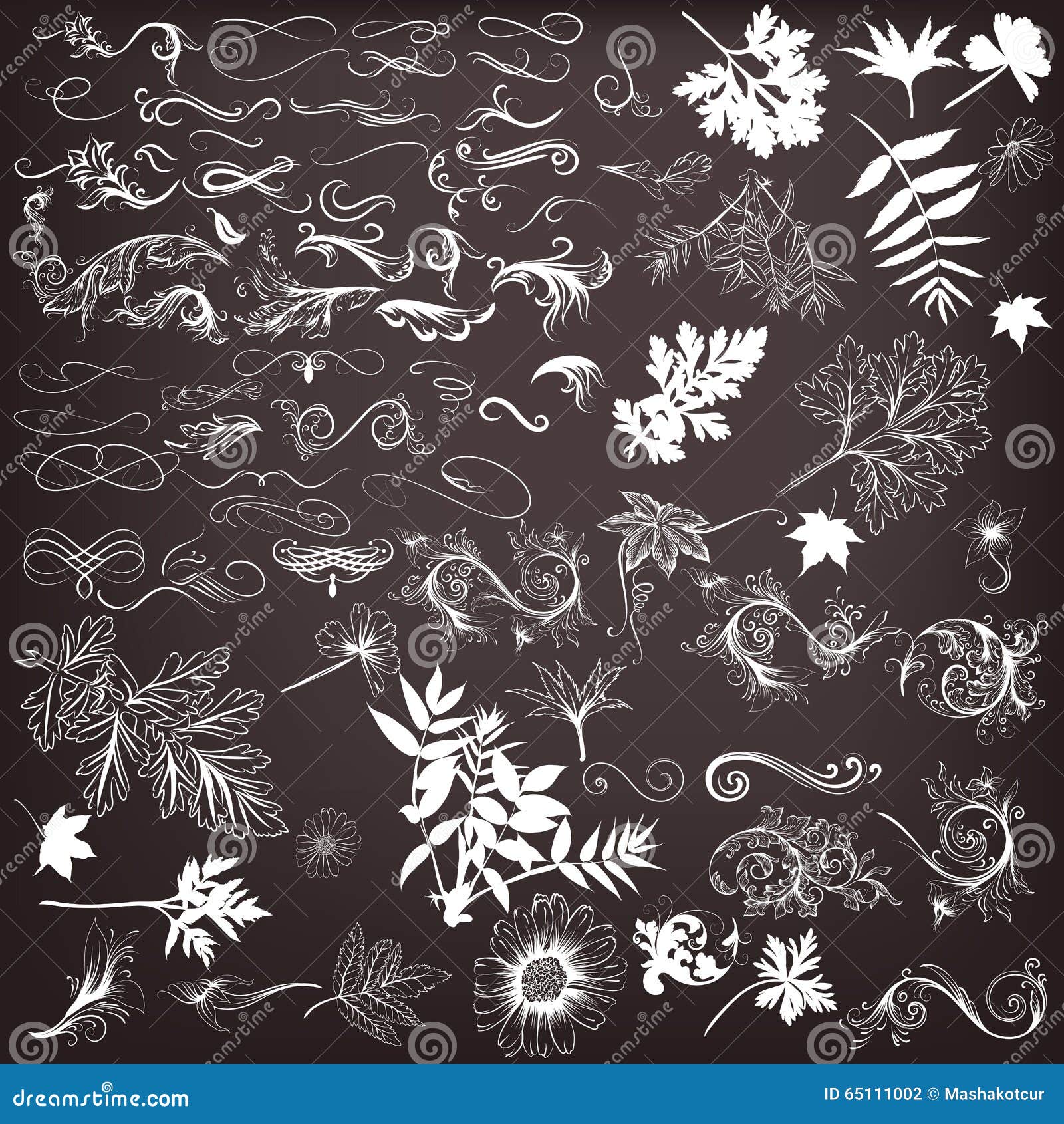 Vector Set of Calligraphic Elements for Design. Calligraphic Vector ...