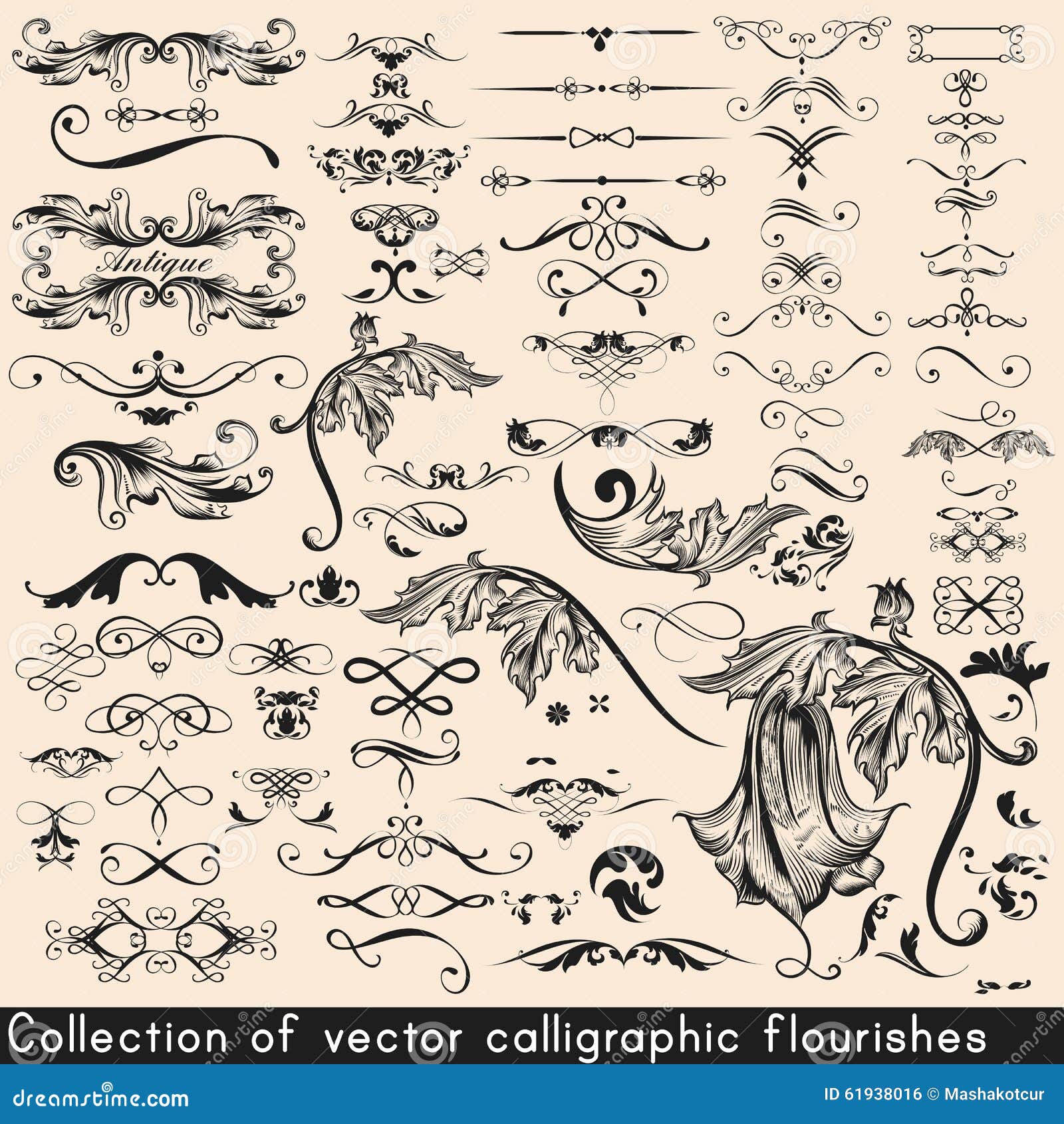 Vector Set of Calligraphic Monogram for Design. Calligraphic Vector ...