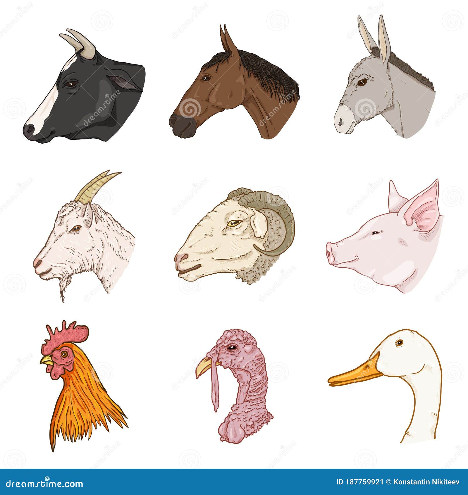 Vector Set of Cartoon Farm Animals Heads Stock Vector - Illustration of ...