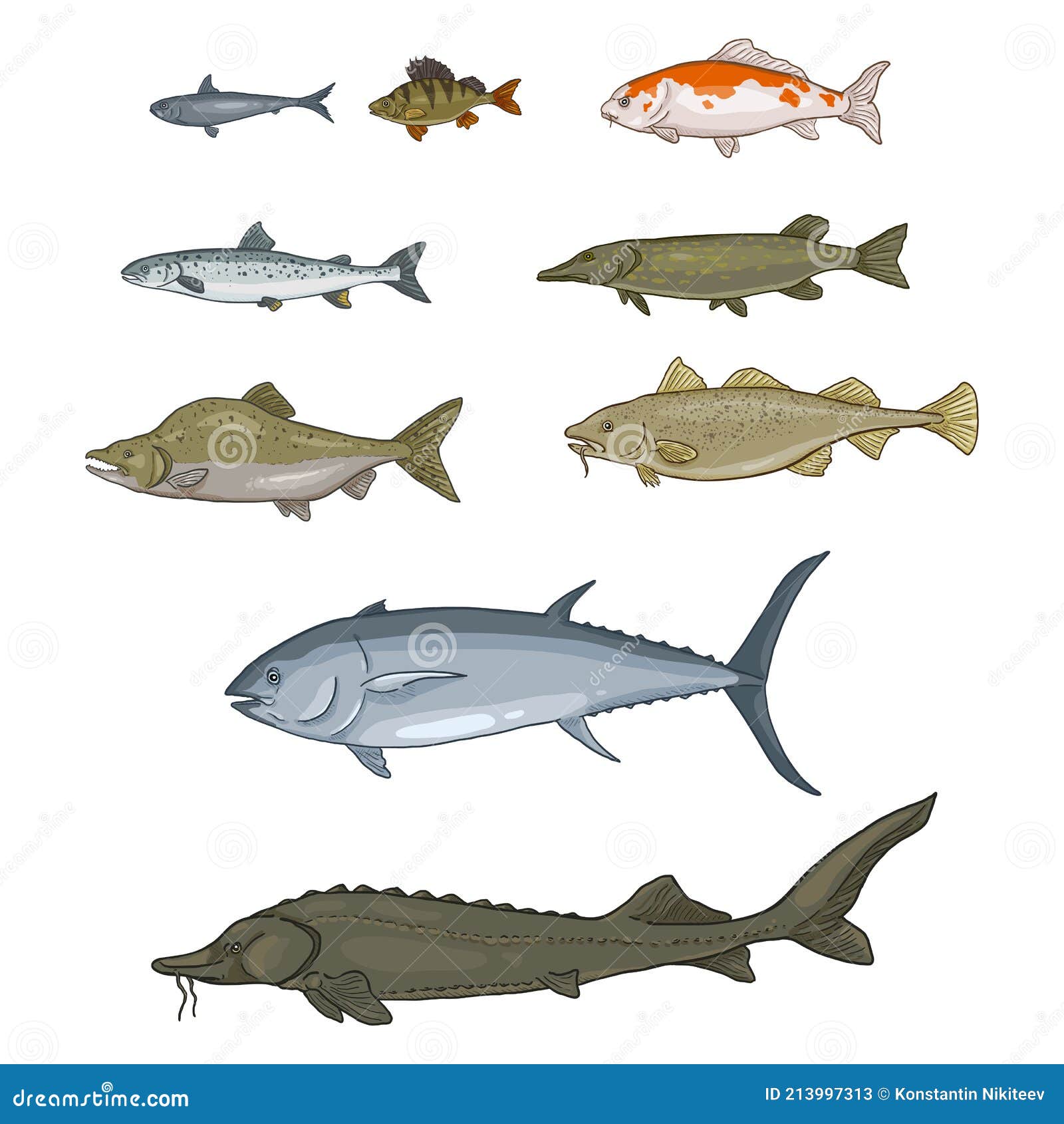 Types Of River. 3D Diagram Explain Geography Condition In Separate ...