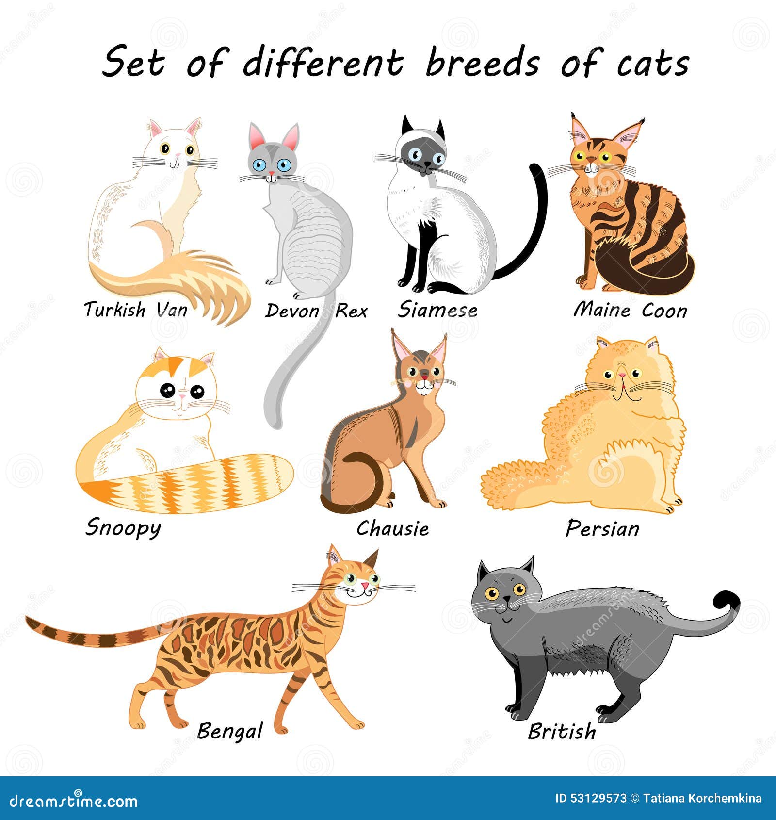 Vector set of cat breeds stock vector. Illustration of graphic - 53129573