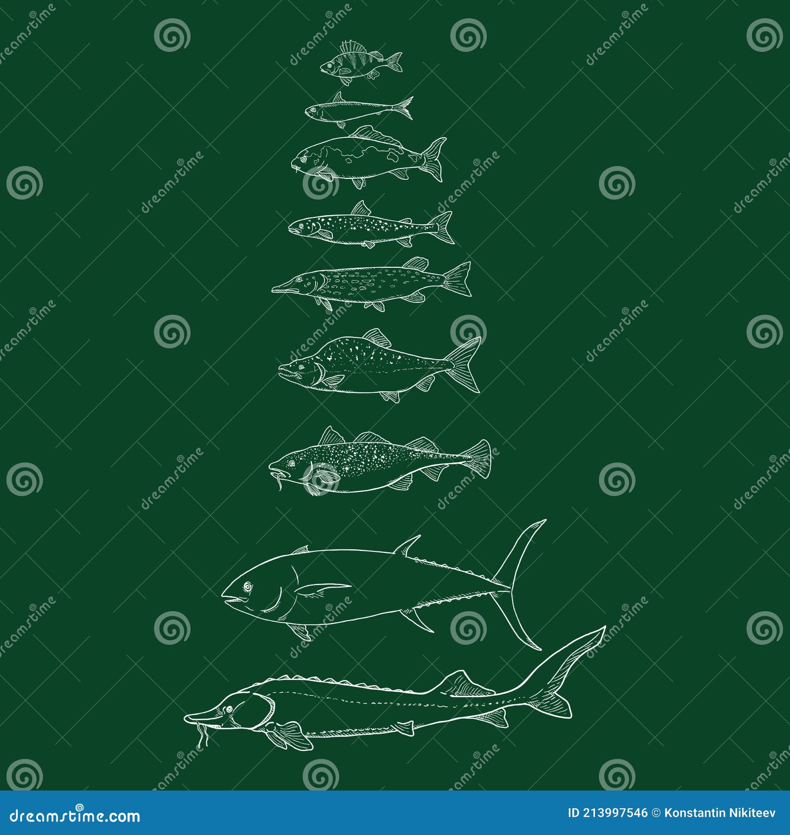 Vector Set of Chalk Fish stock vector. Illustration of blackboard ...