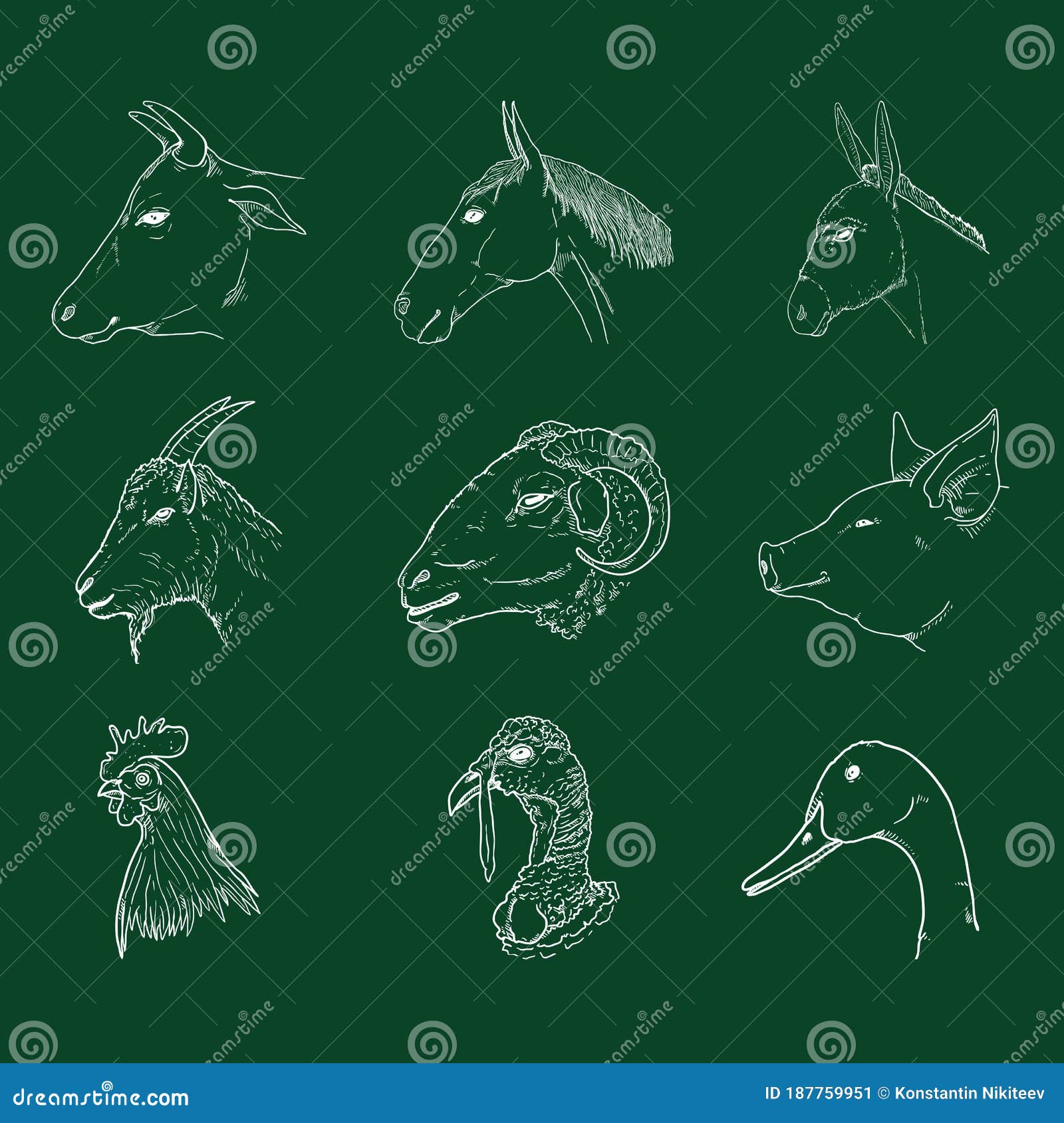 Vector Set of Chalk Sketch Farm Animals Heads Stock Vector ...