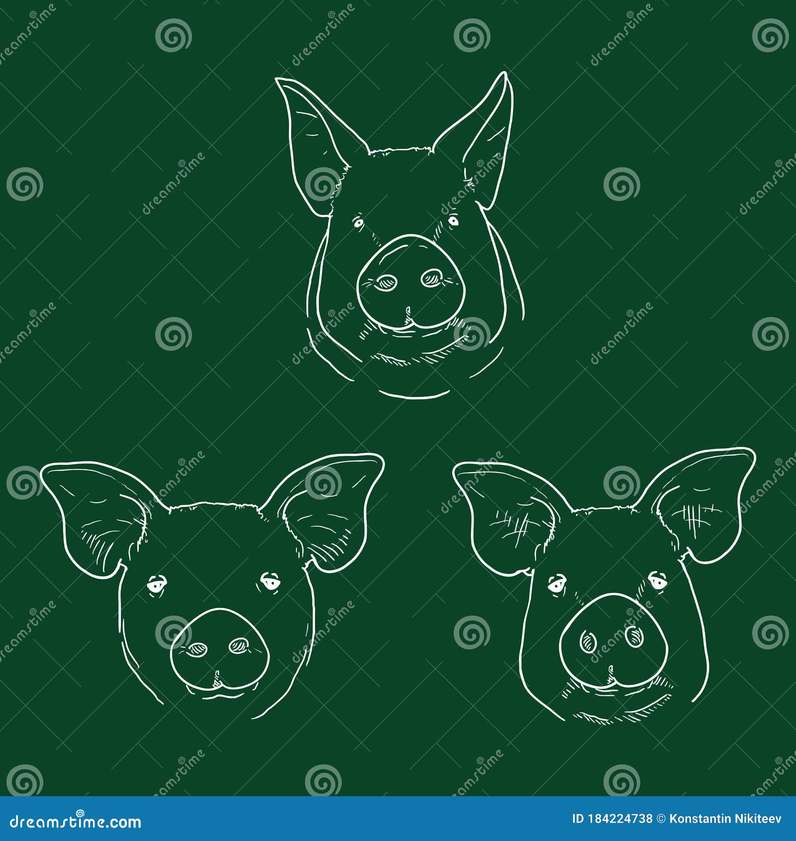 Vector Set of Chalk Sketch Pig Faces Stock Vector - Illustration of ...