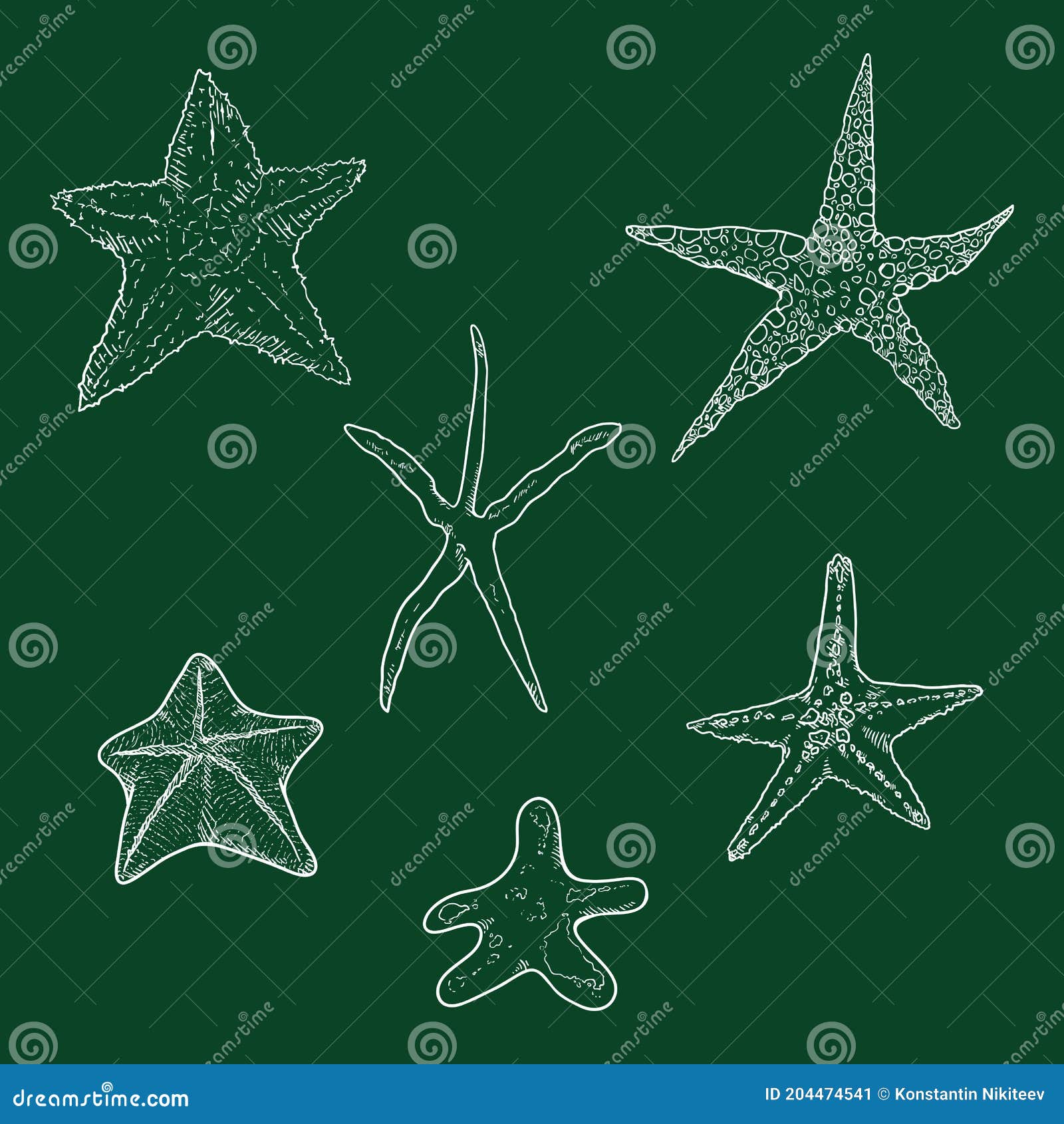 Vector Set of Chalk Sketch Starfishes Stock Vector - Illustration of ...