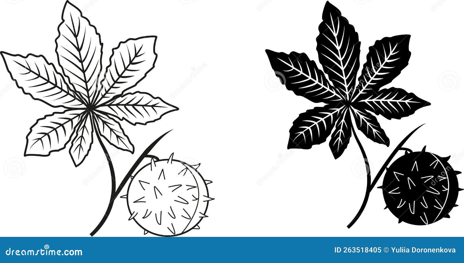 Vector Set of Chestnut Leaves Black and White. Illustration for Coloring Book. Chestnut Vector ...