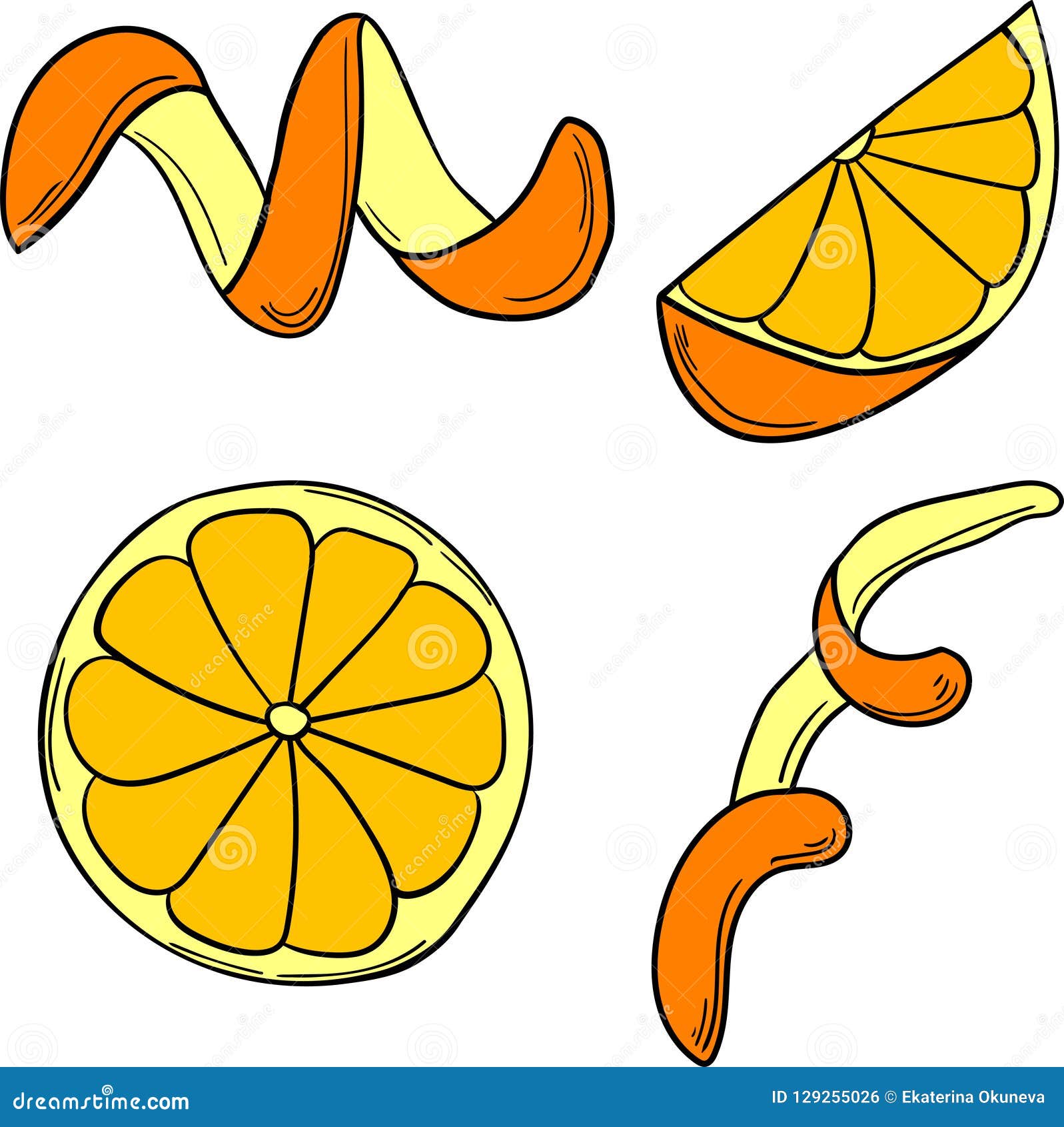 Vector set of citrus i stock vector. Illustration of citrus - 129255026